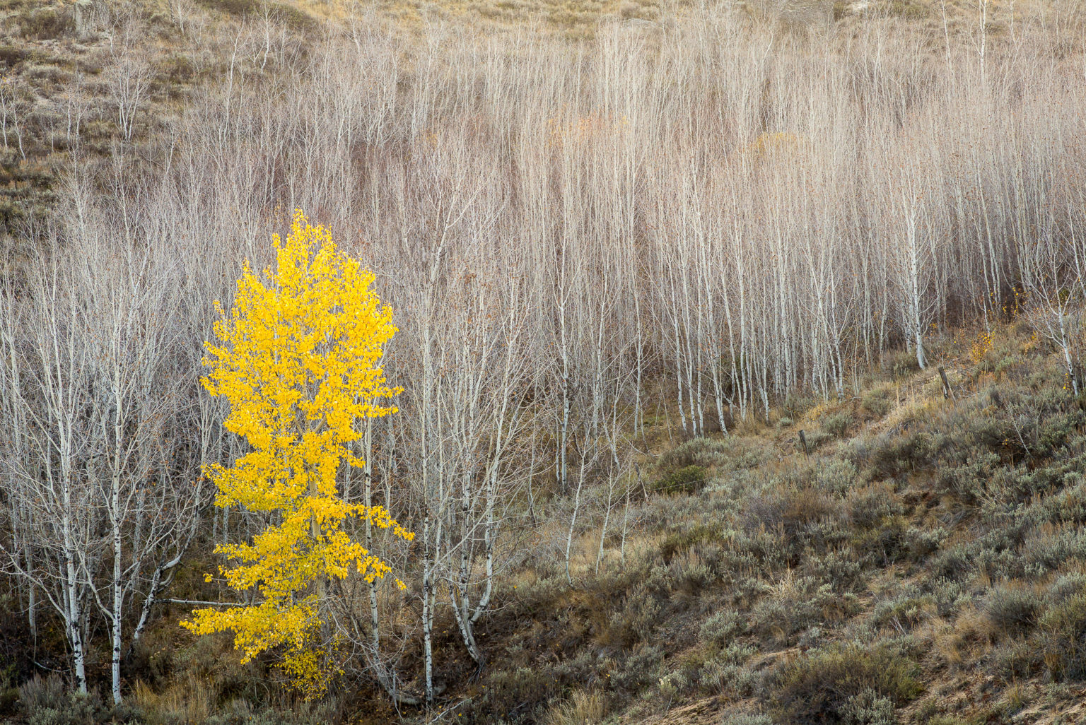 On Autumn | On Landscape