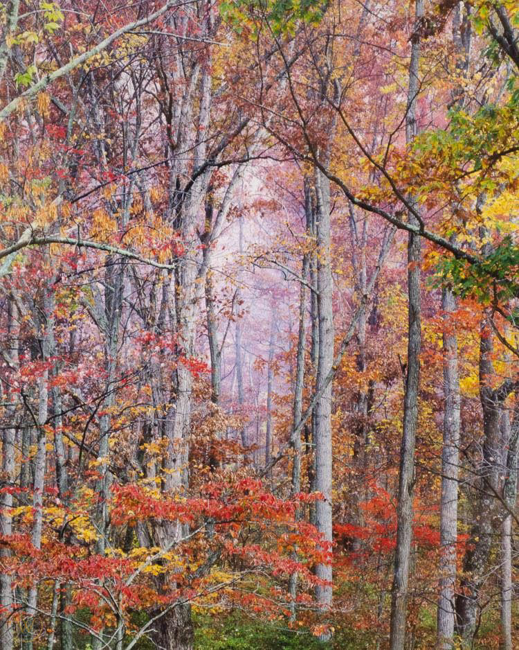 christopher-burkett-hand-printed | On Landscape