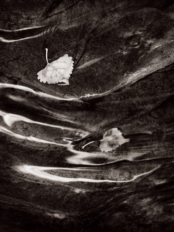 Interview with Guy Tal | On Landscape