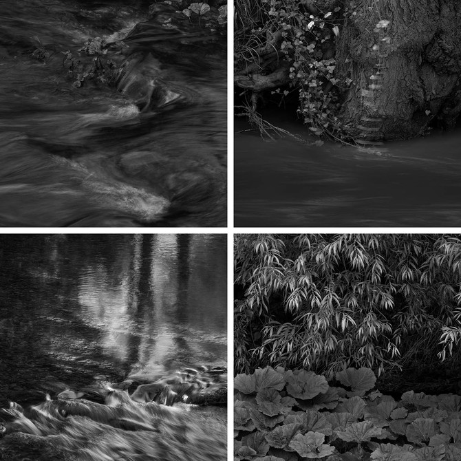 Portrait of a river | On Landscape