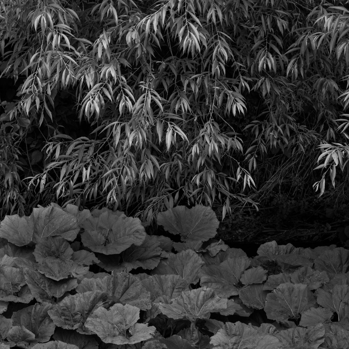 Portrait of a river | On Landscape