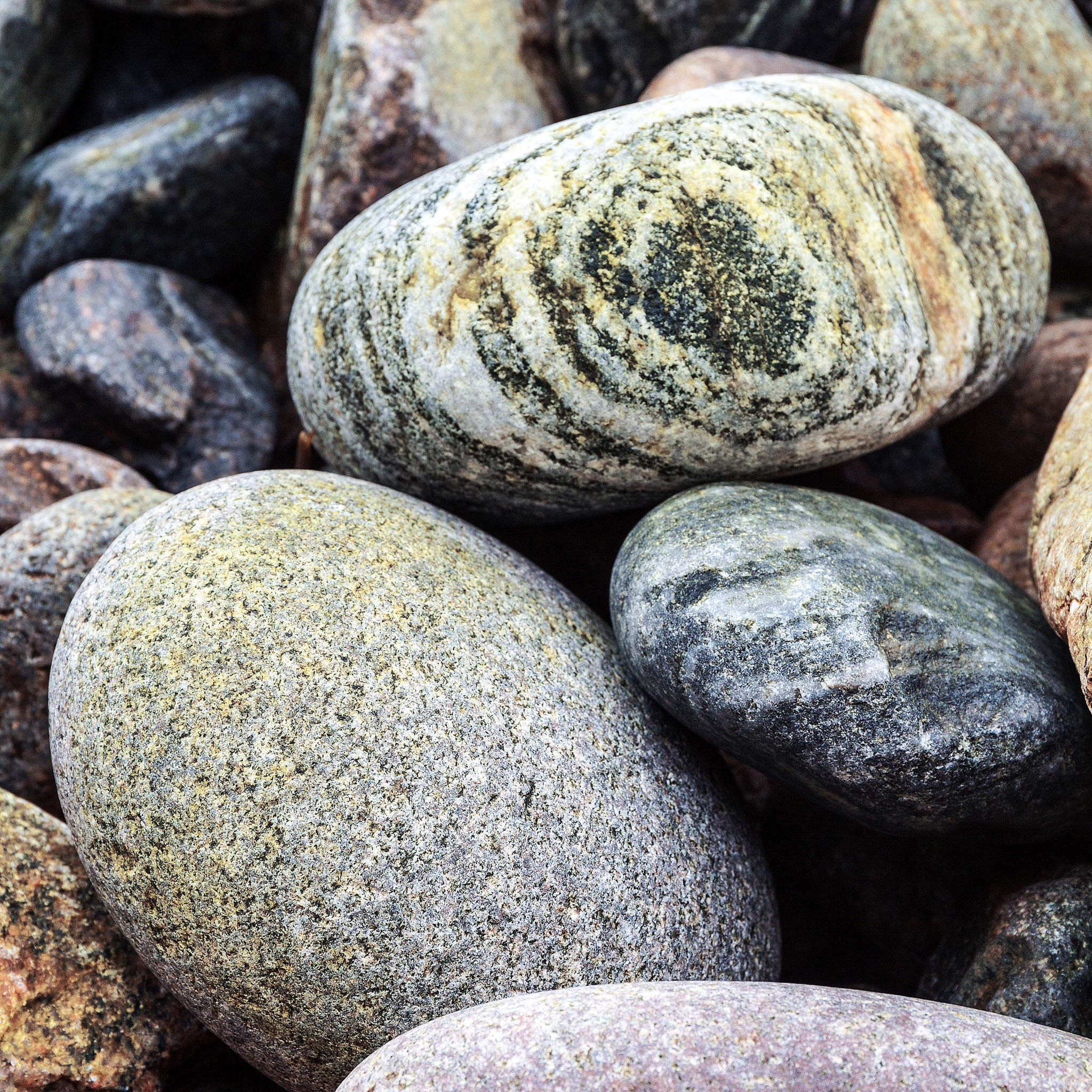 Alex_Hare_BookMaking_009 | On Landscape
