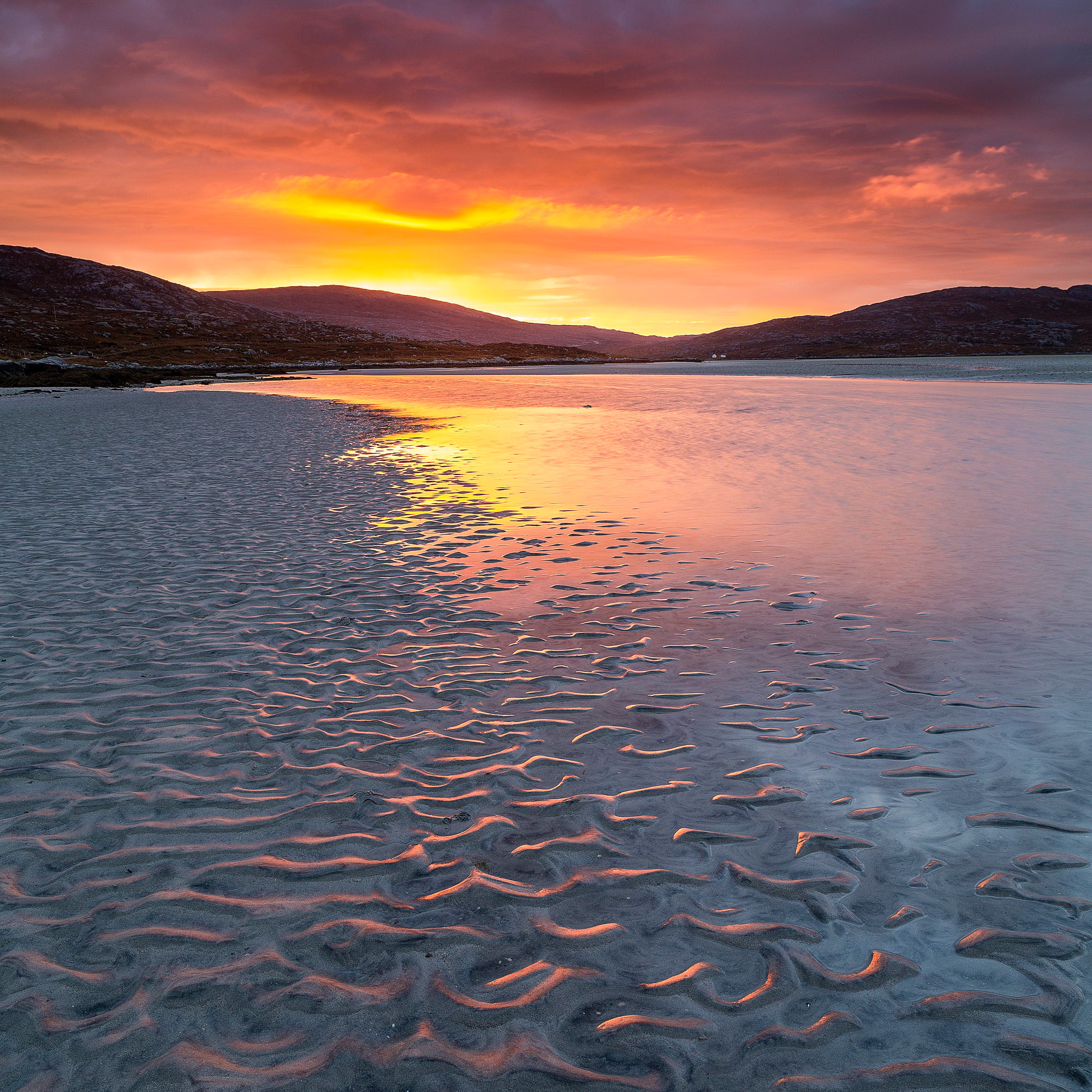 Alex_Hare_BookMaking_011 | On Landscape