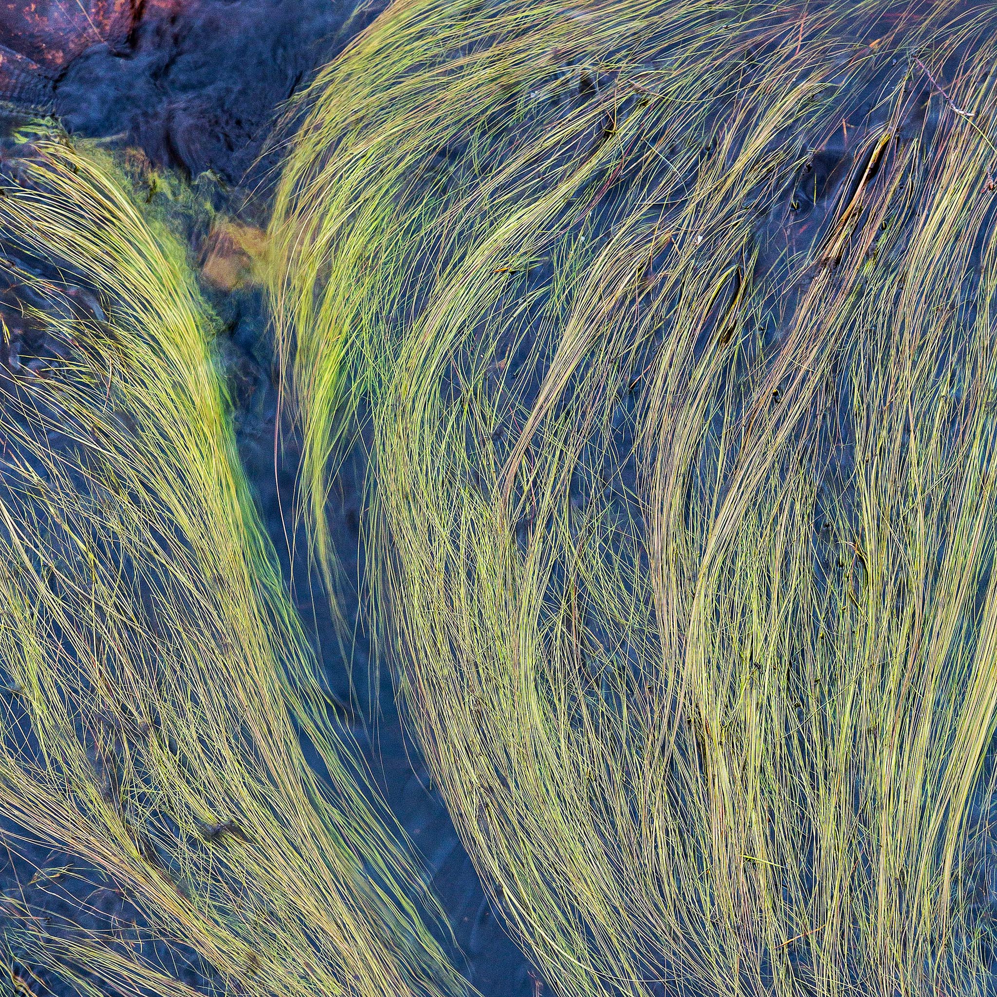 Alex_Hare_BookMaking_013 | On Landscape