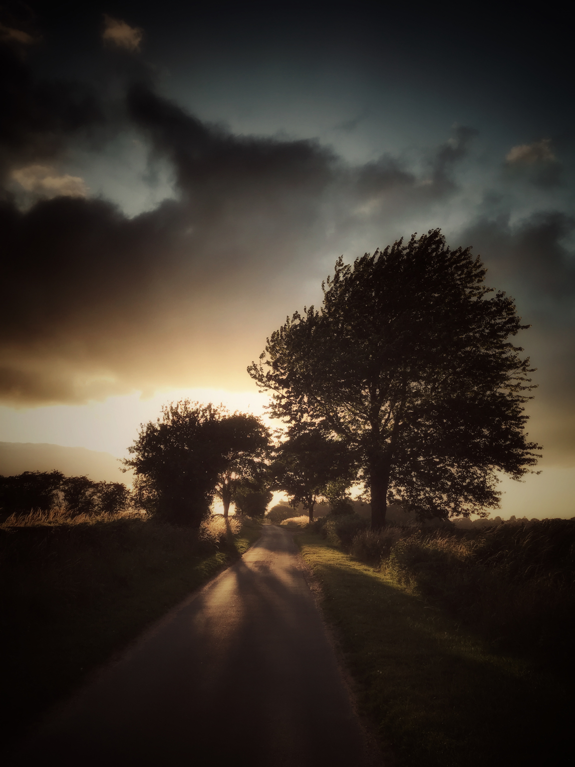 Mark Littlejohn - phone photography 11 | On Landscape