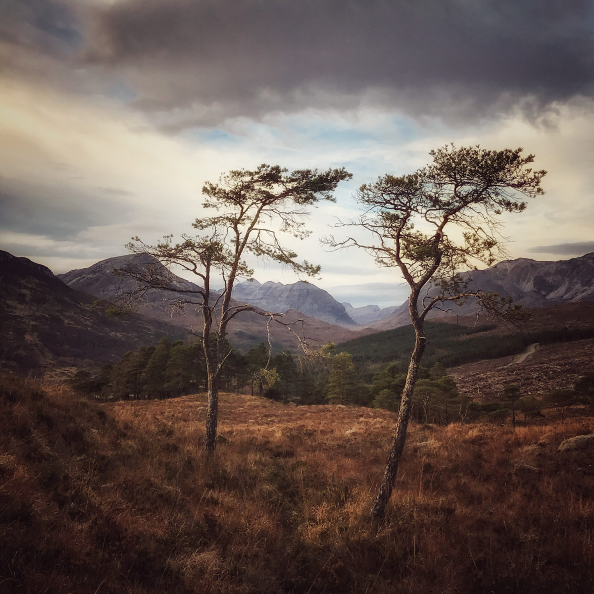 Phone Landscape Photography | On Landscape