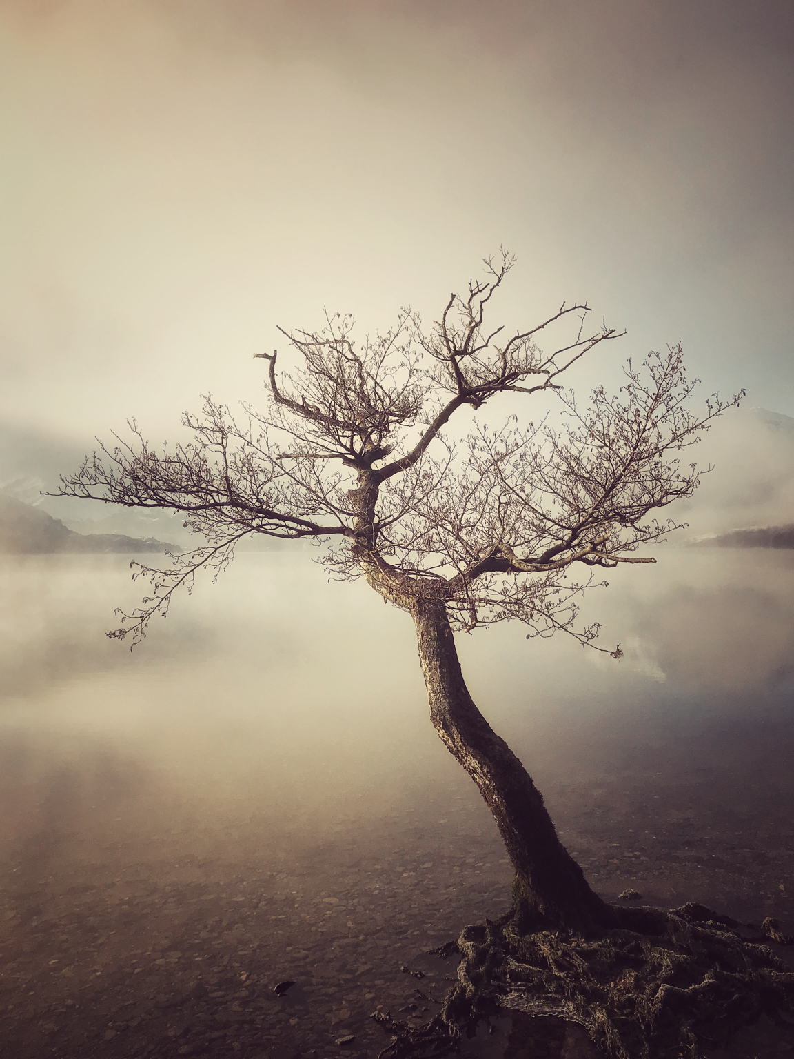 Mark Littlejohn - phone photography 14 | On Landscape