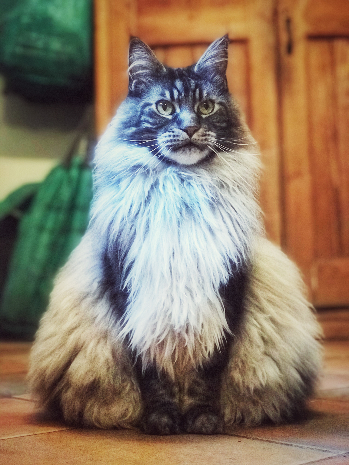 Mark Littlejohn - phone photography 2 | On Landscape