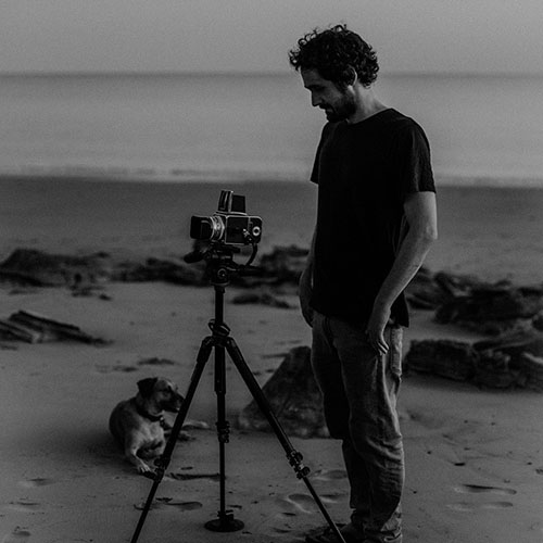 Steven Cutts | Hidden Details | On Landscape