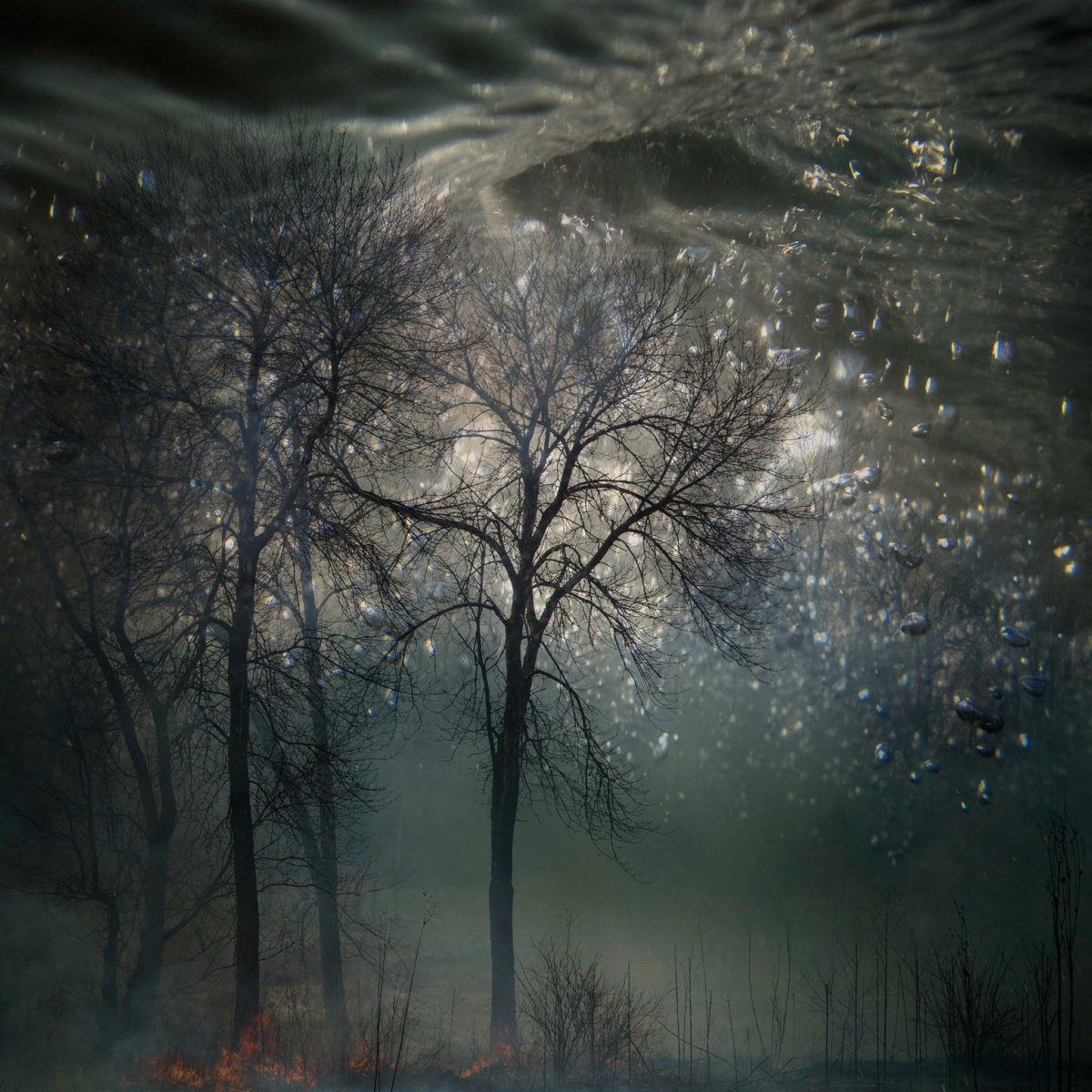 Jane Fulton Alt - Submerged | On Landscape