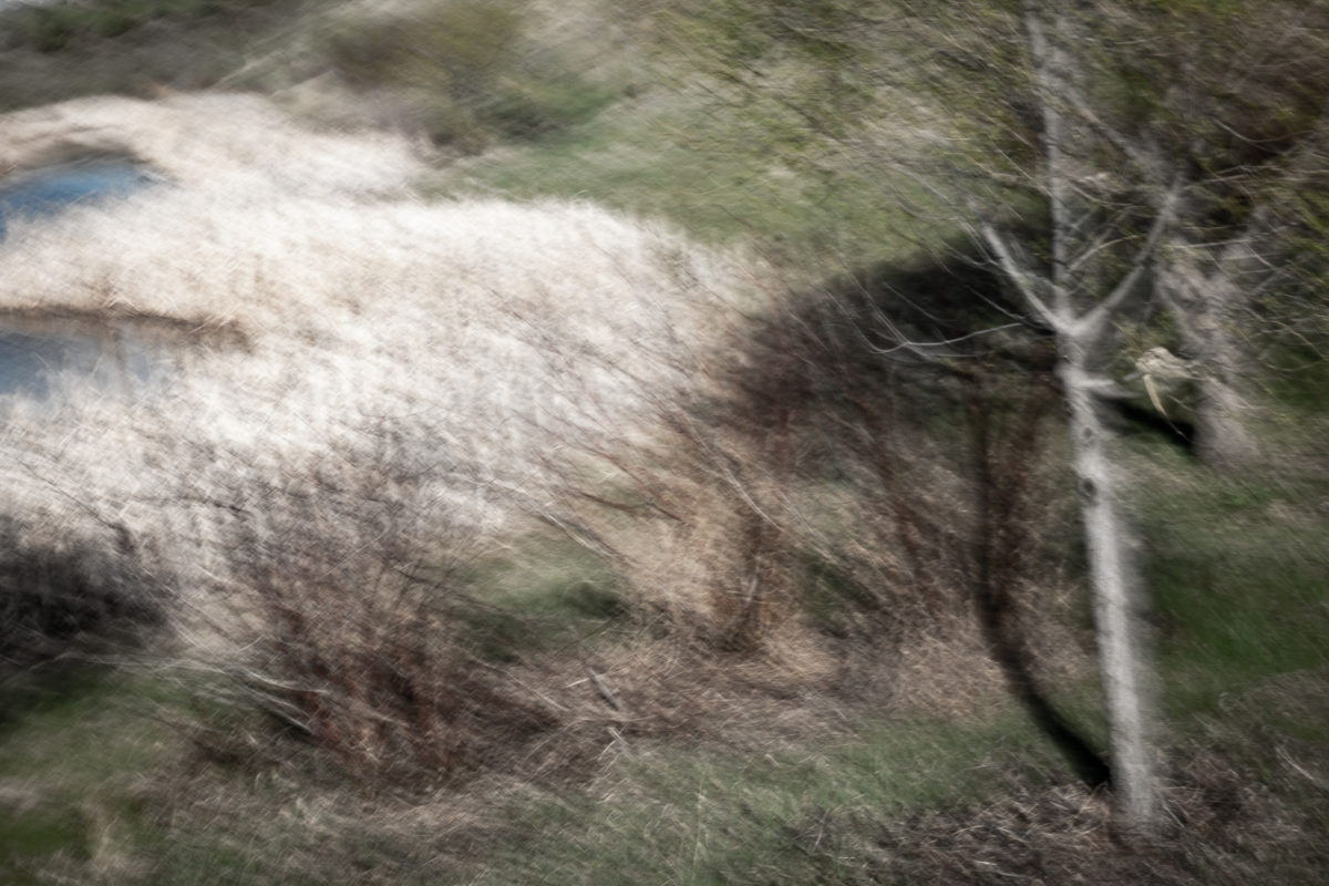 Barry Rosof | Stormwater Facility | On Landscape