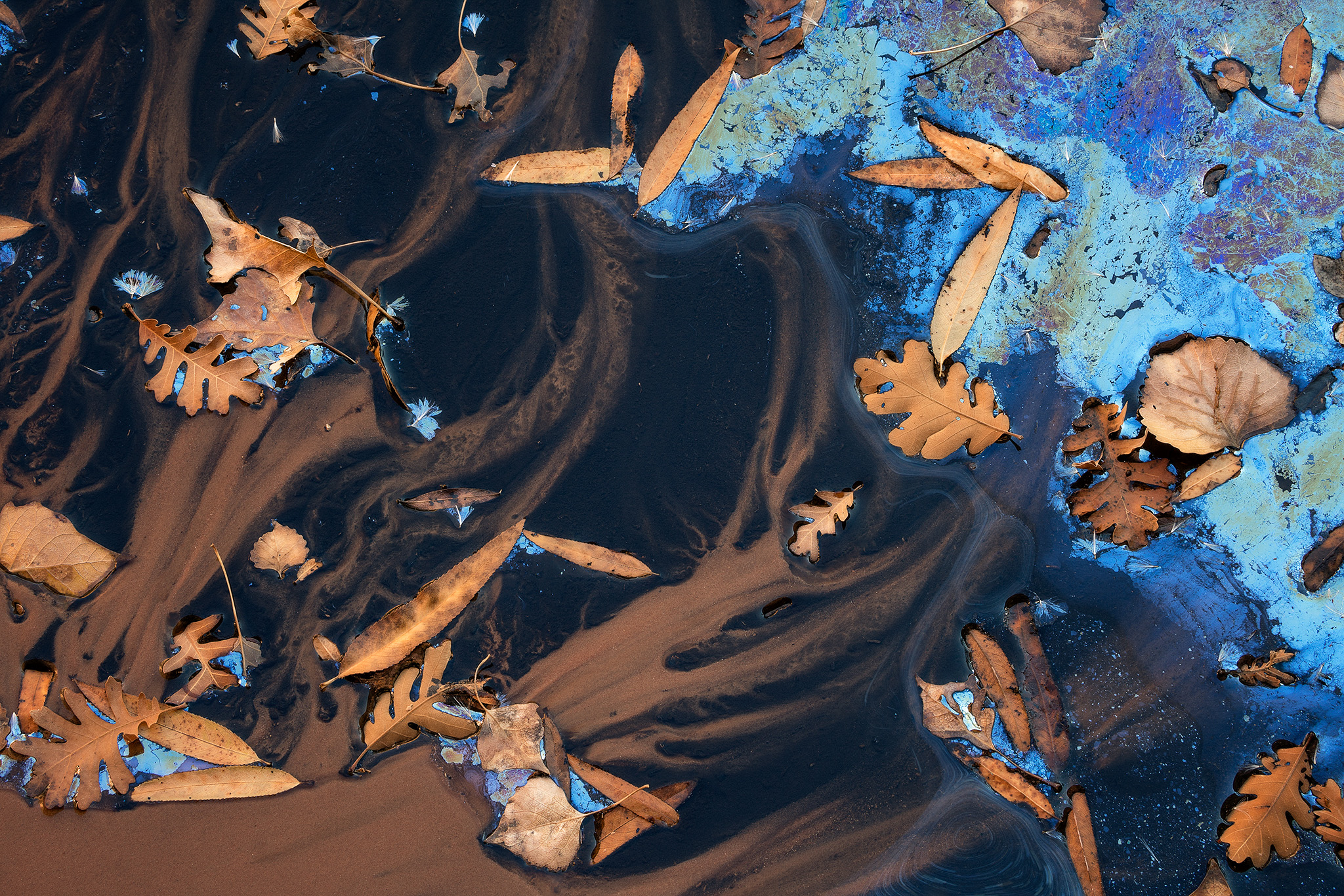 Eric Bennett - CosmicSpace | On Landscape