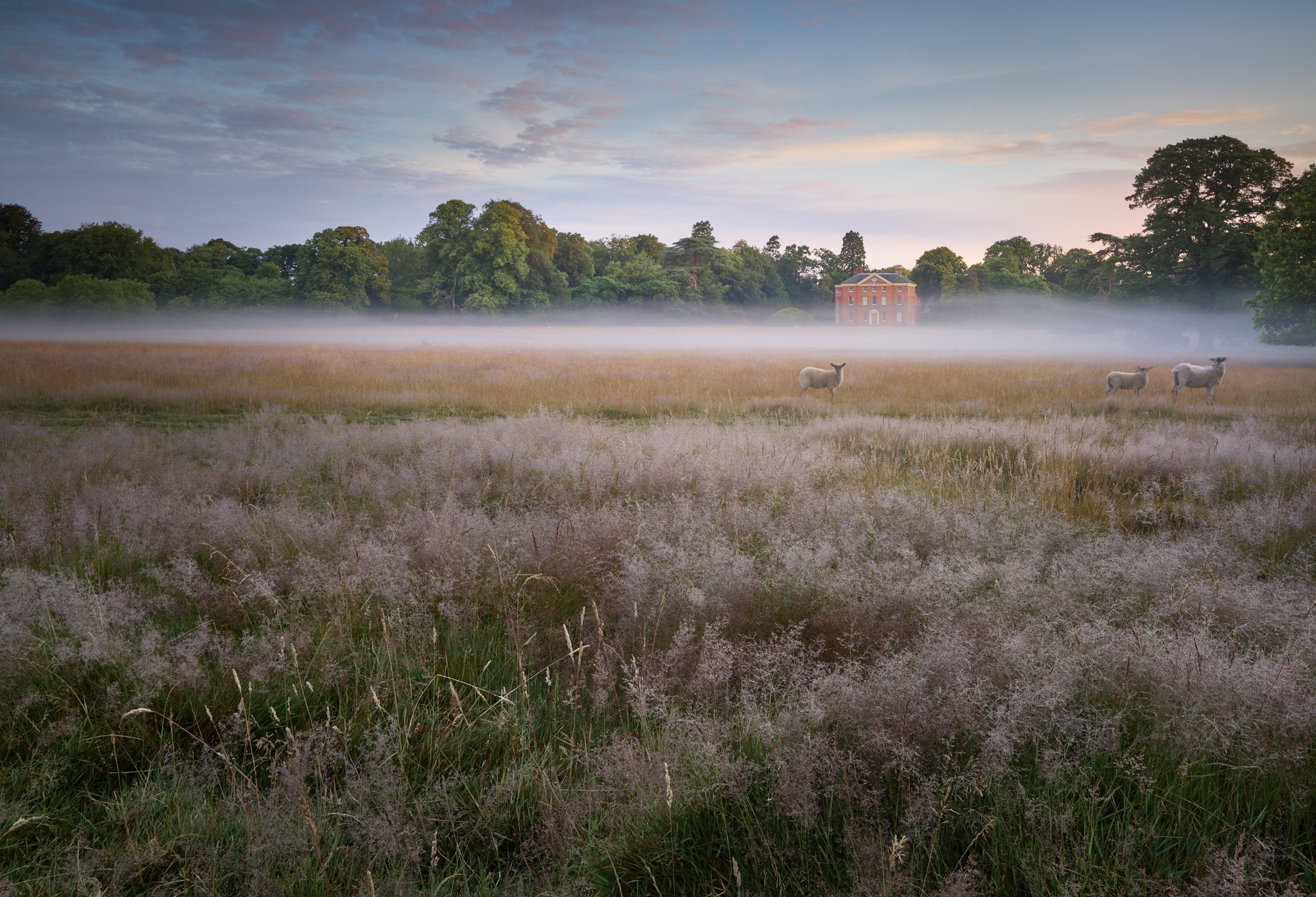 Repton7 | On Landscape