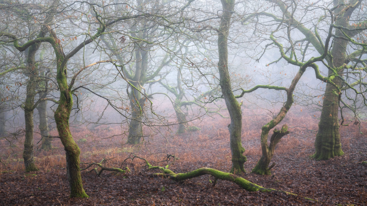 Simon Baxter | Featured Photographer | On Landscape