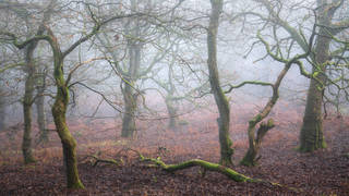 Simon Baxter | Featured Photographer | On Landscape