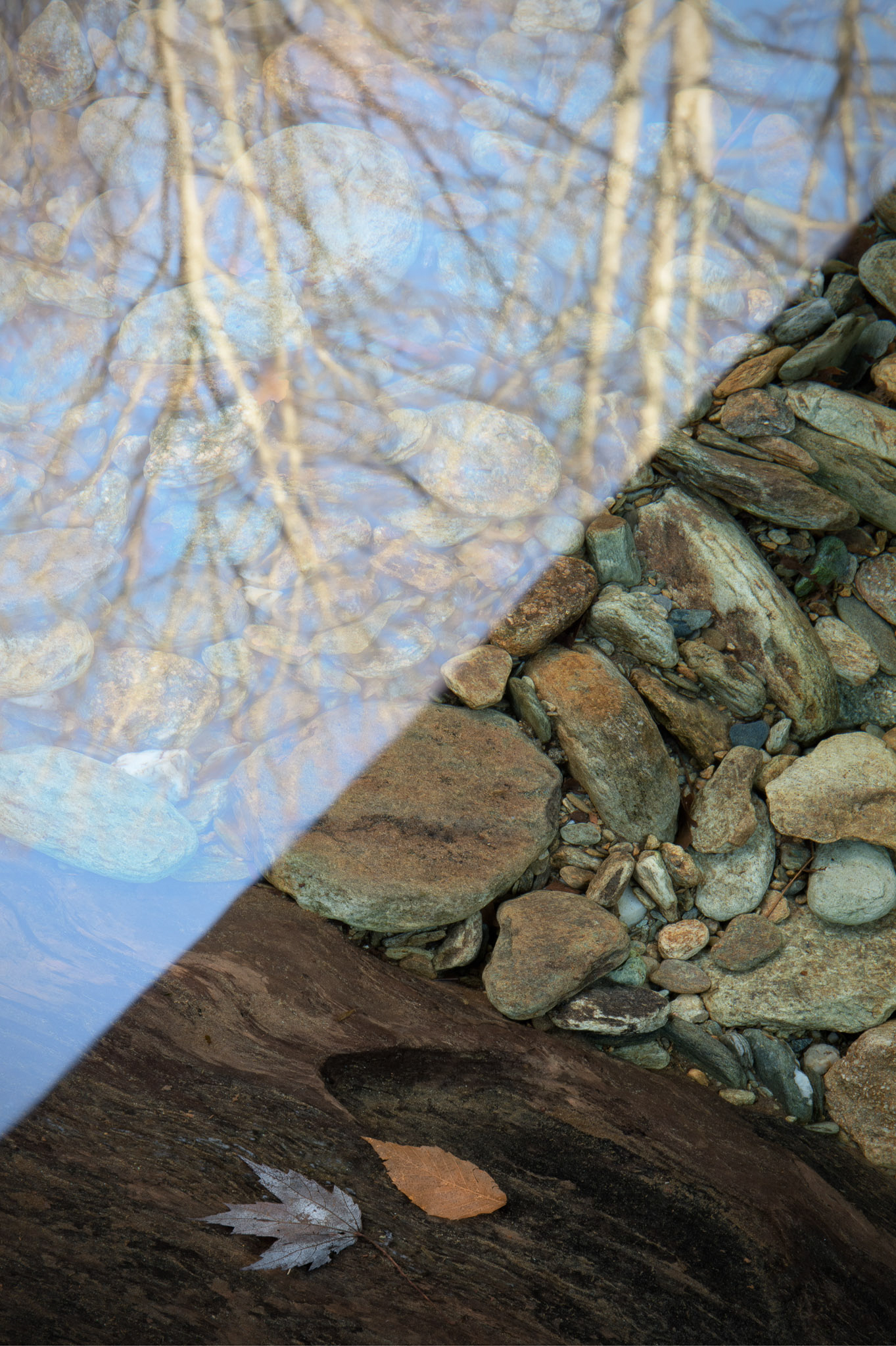 Dale King 5 | On Landscape