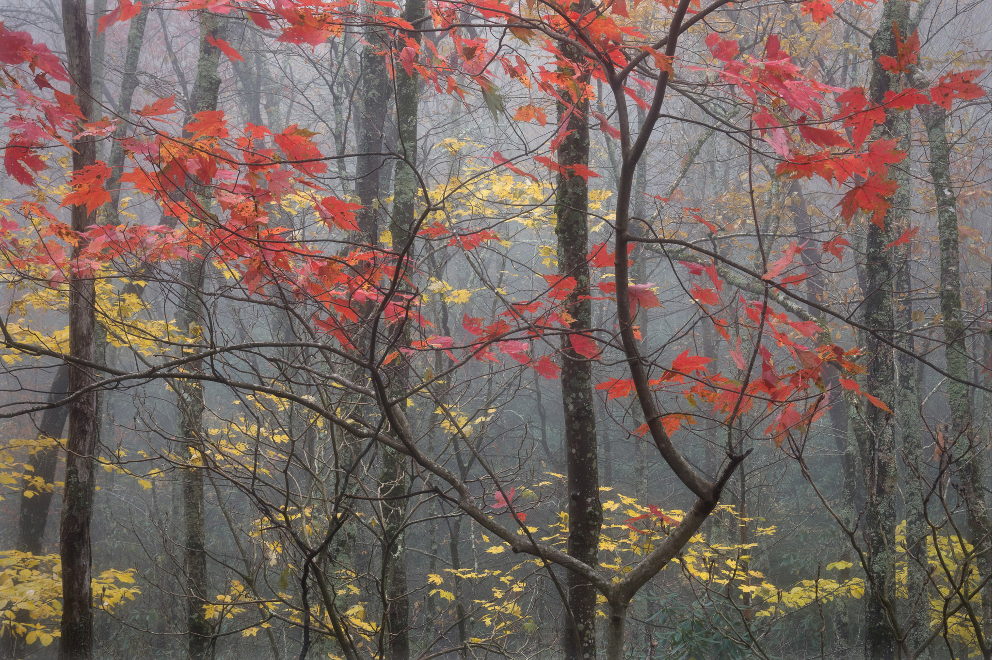 Dale King 6 | On Landscape