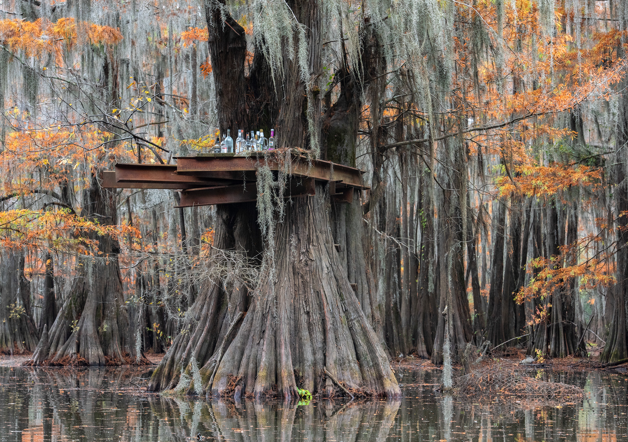 Georg Popp - Duckhunters | On Landscape