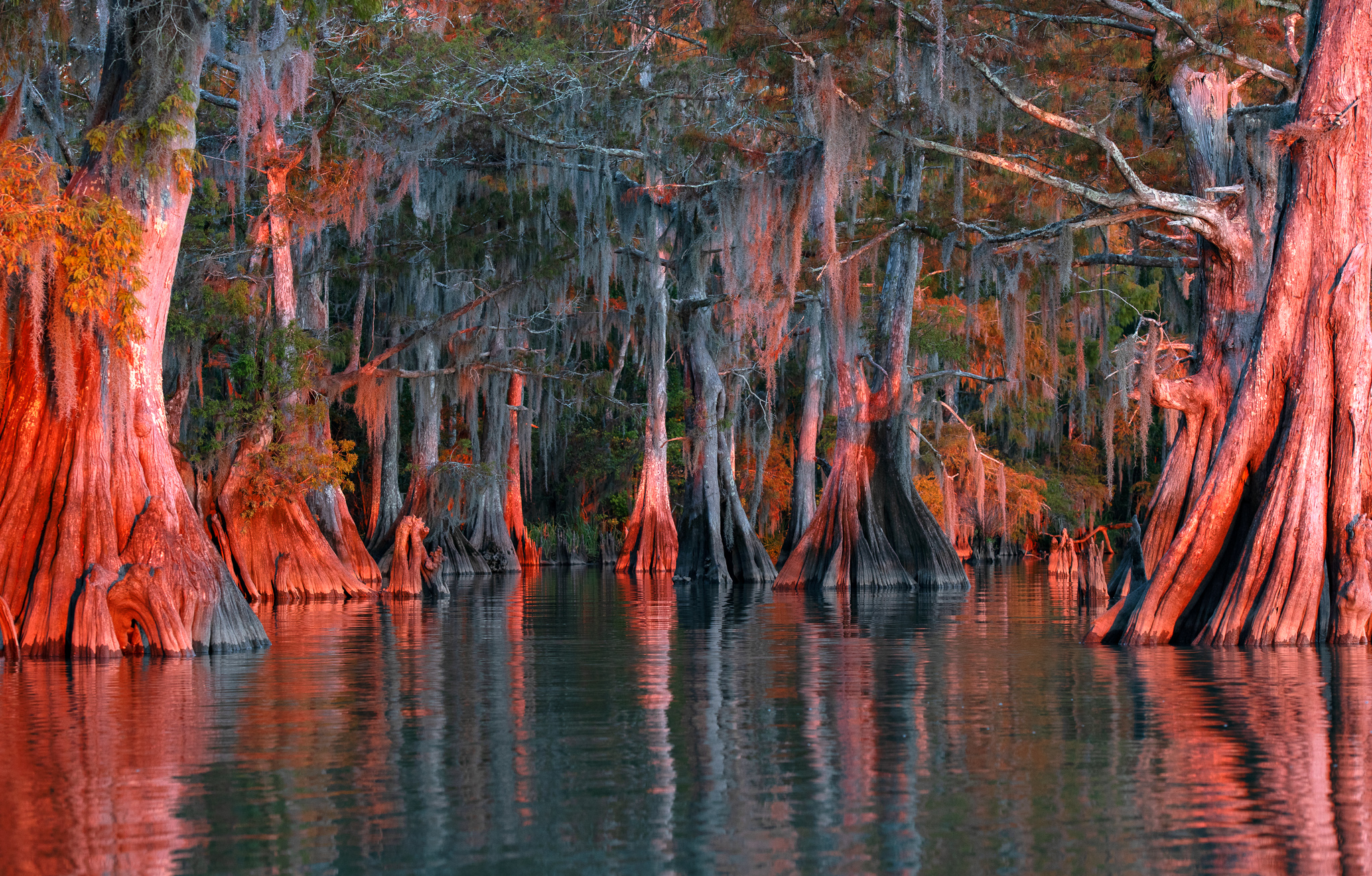 Georg Popp - Landschaft_107 | On Landscape