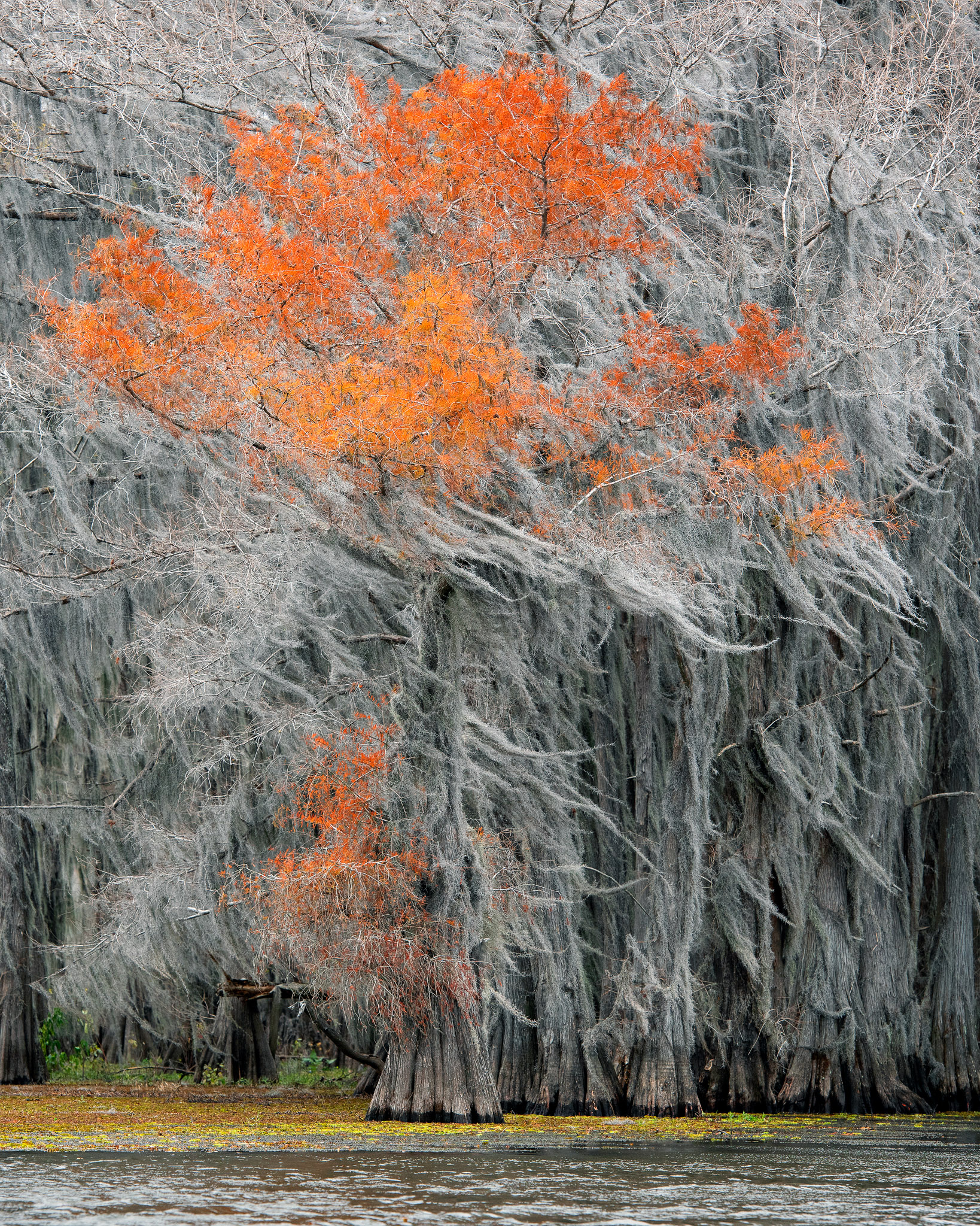 Georg Popp - Landschaft_133 | On Landscape
