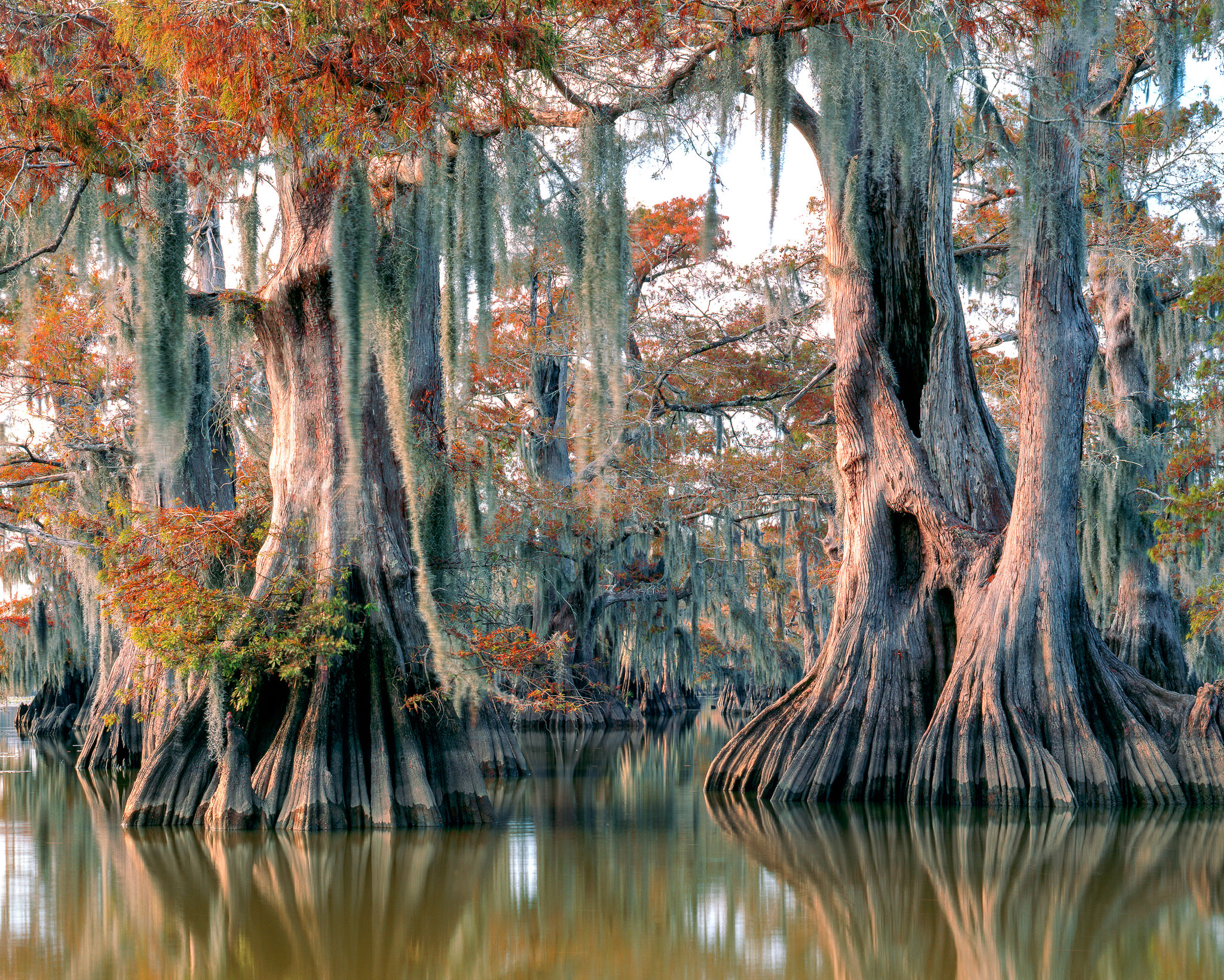 Georg Popp - Landschaft_203 | On Landscape