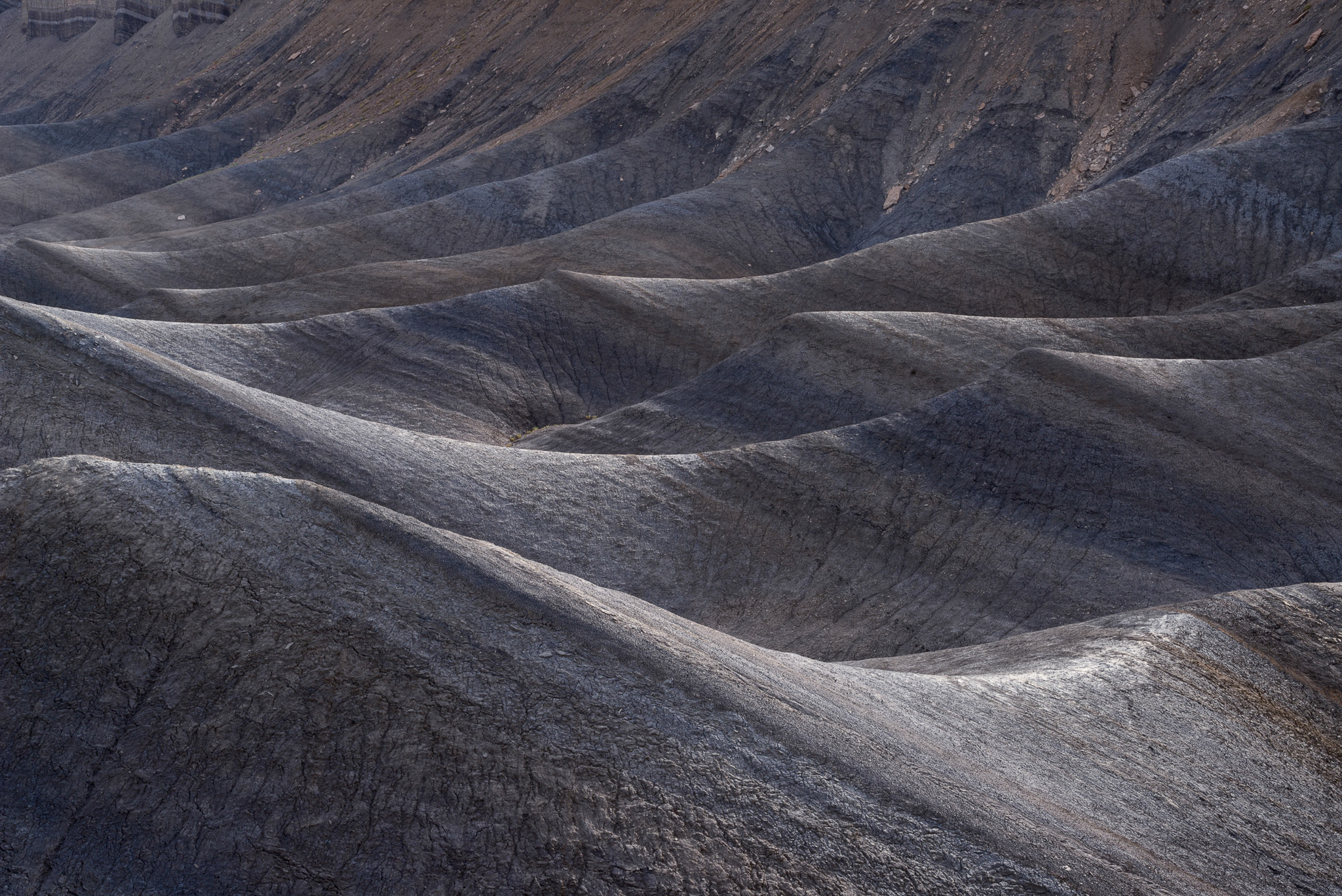 Ancient Waves | On Landscape