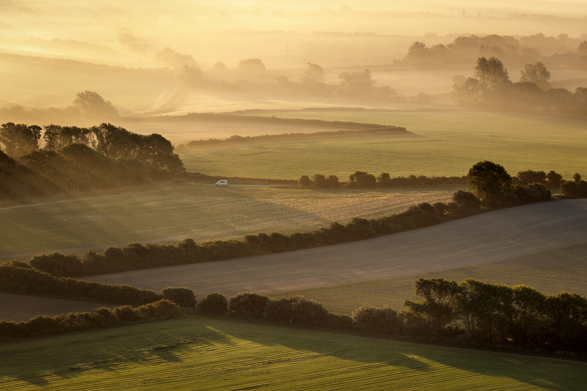 Finn Hopson - FinnHopson_FH20735 | On Landscape
