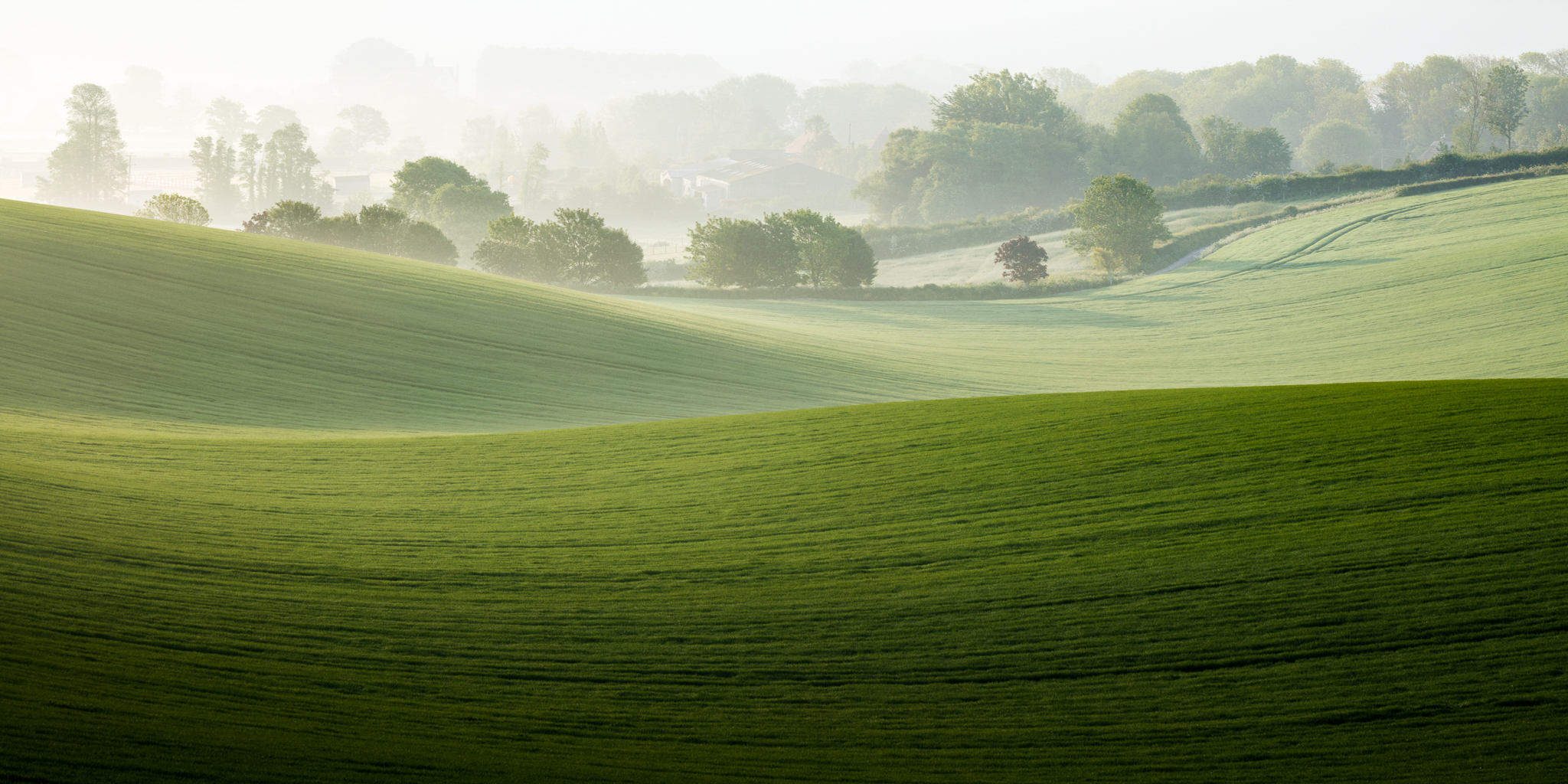 Finn Hopson - FinnHopson_FH29536 | On Landscape