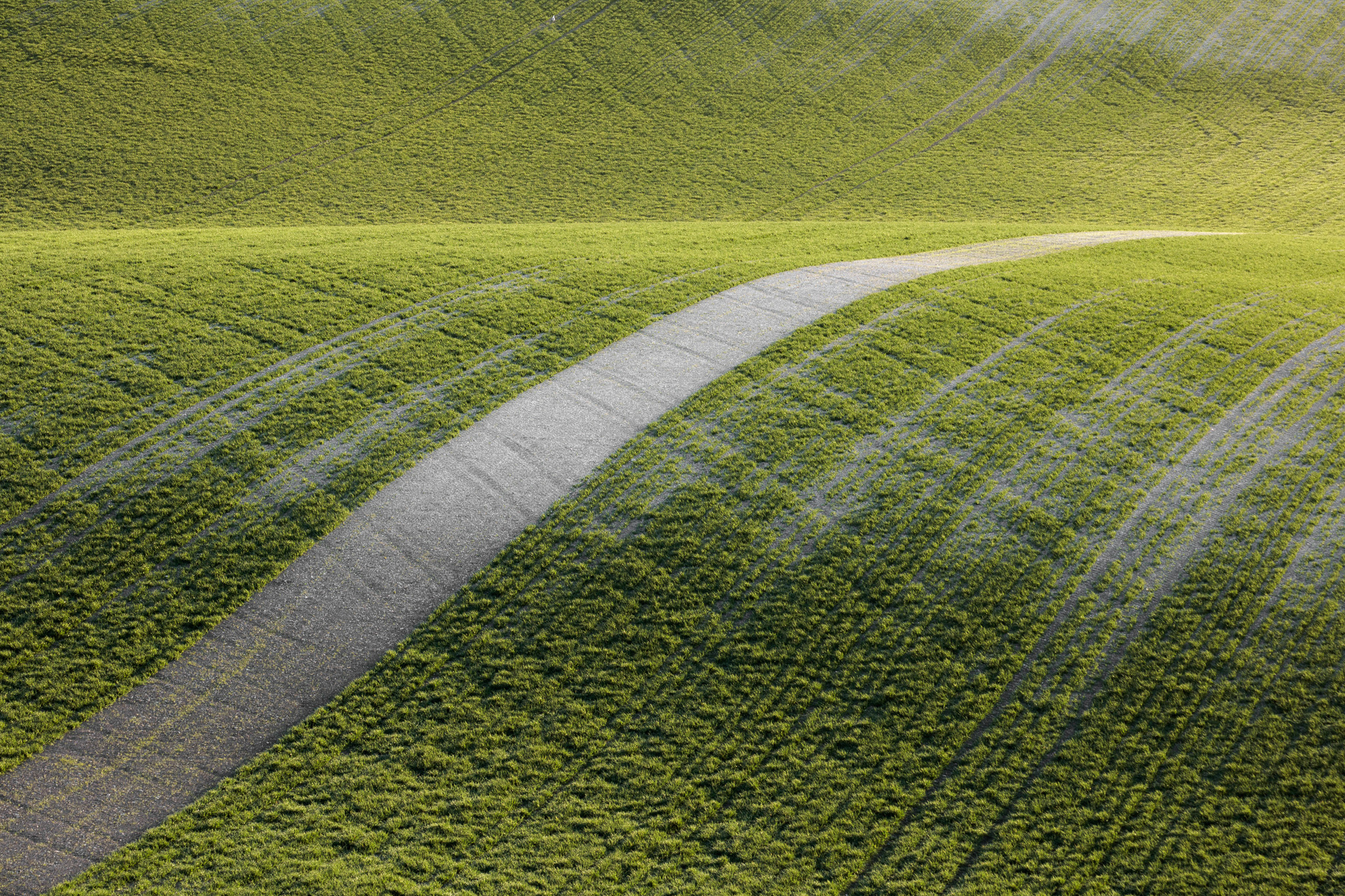Finn Hopson - FinnHopson_FH29781 | On Landscape