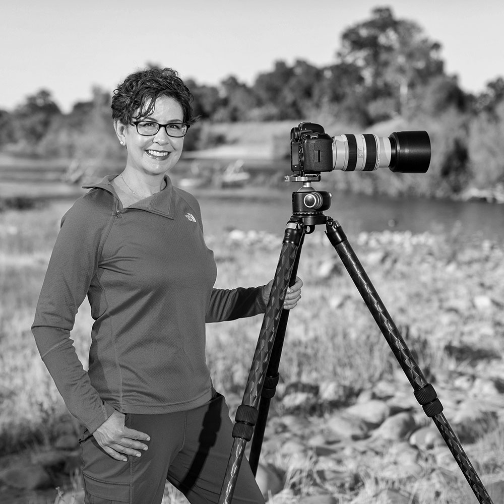 Beth Young | Sequoias, Fire and Water | On Landscape