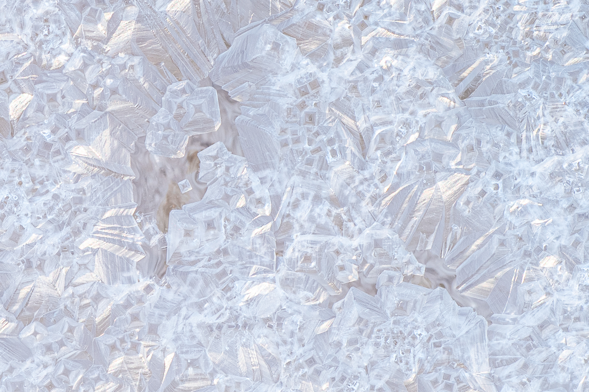 Jennifer Renwick - TheMissingPiece | On Landscape