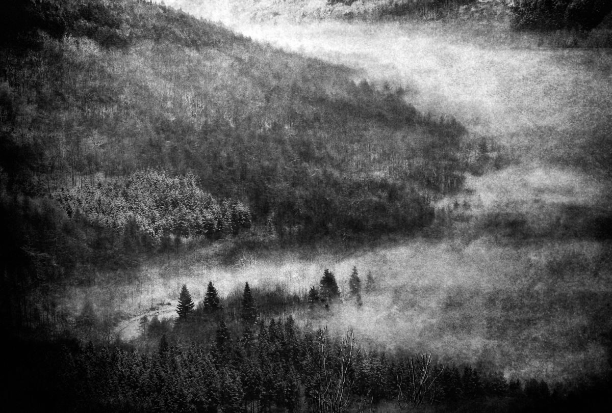 Peter Heaton Encroaching | On Landscape