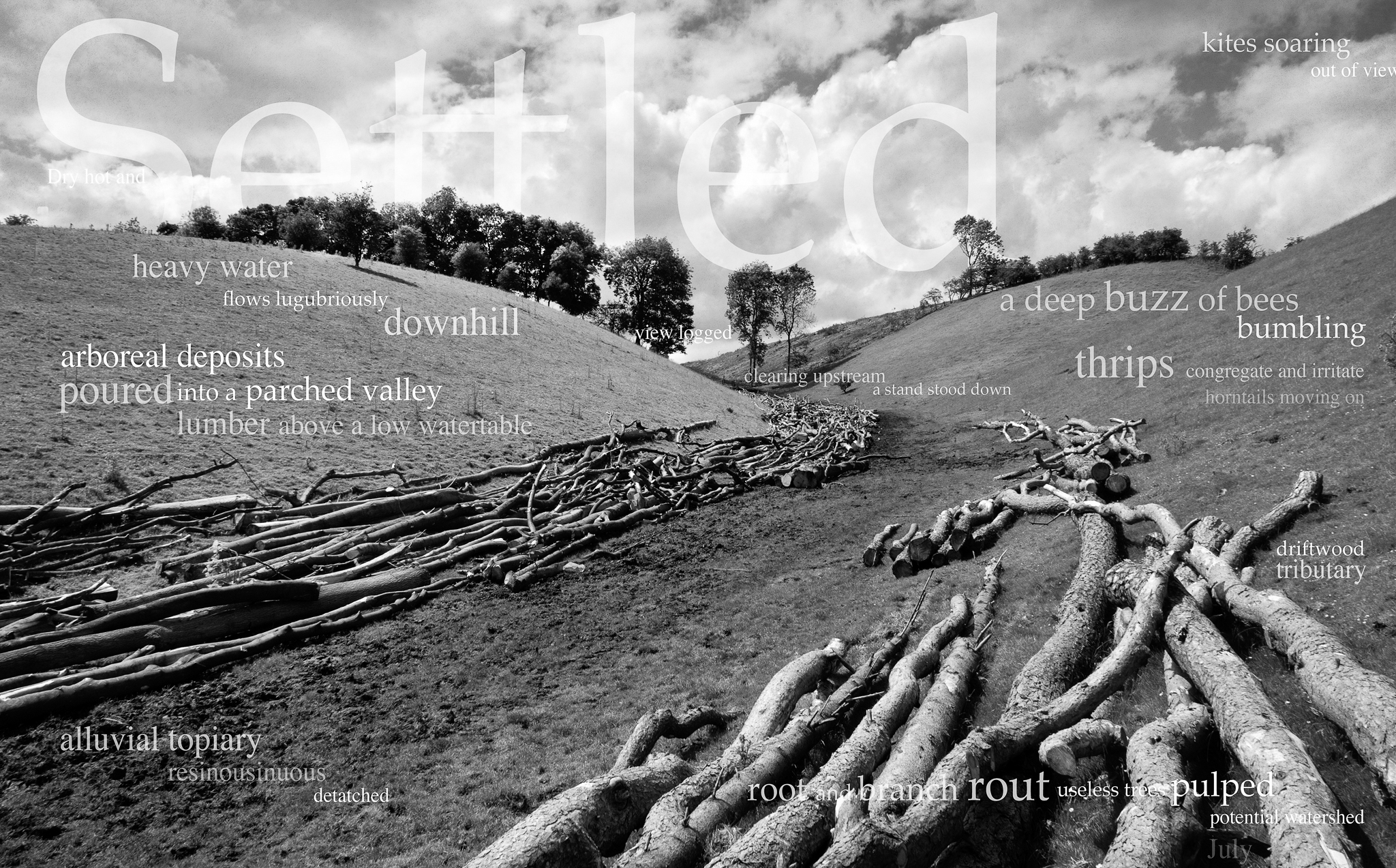 Peter Heaton Settled | On Landscape