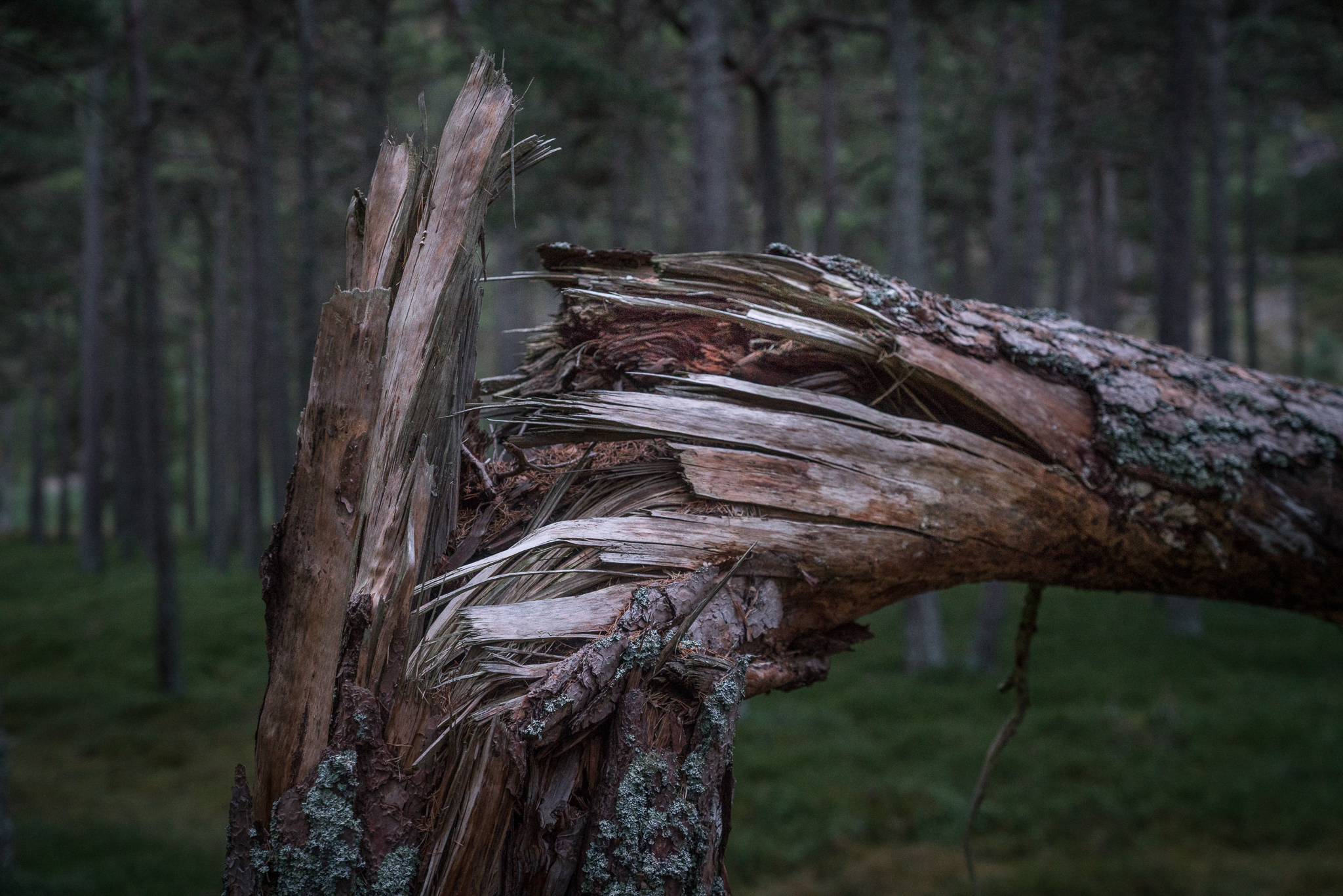 David Lintern 01180 | On Landscape