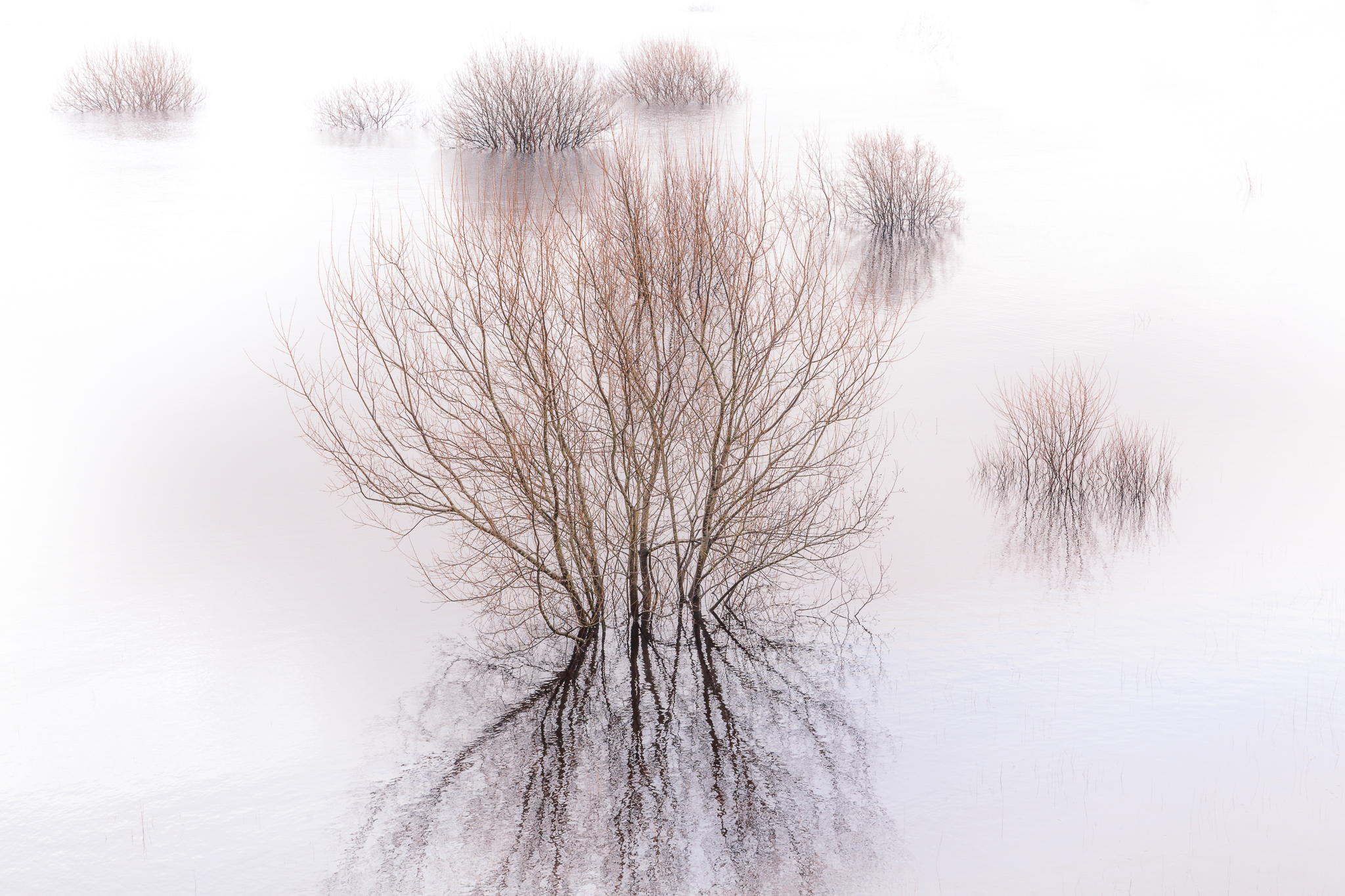 David Lintern 4488 | On Landscape