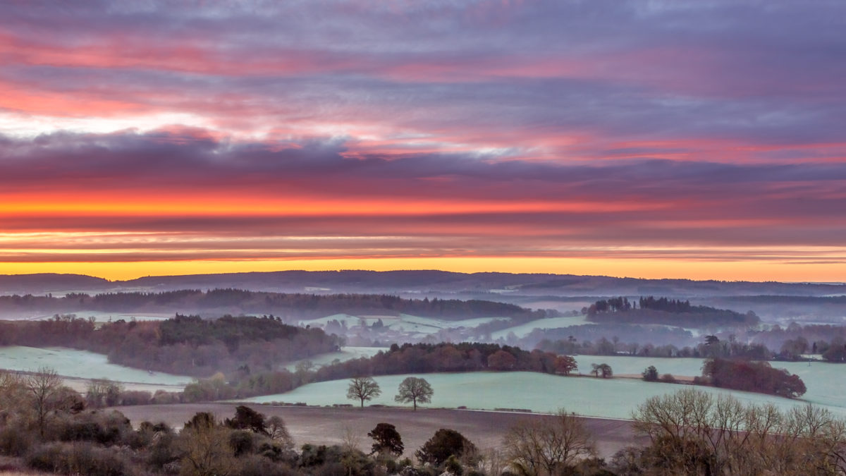 Nick Oakley | Surrey Landscapes | On Landscape
