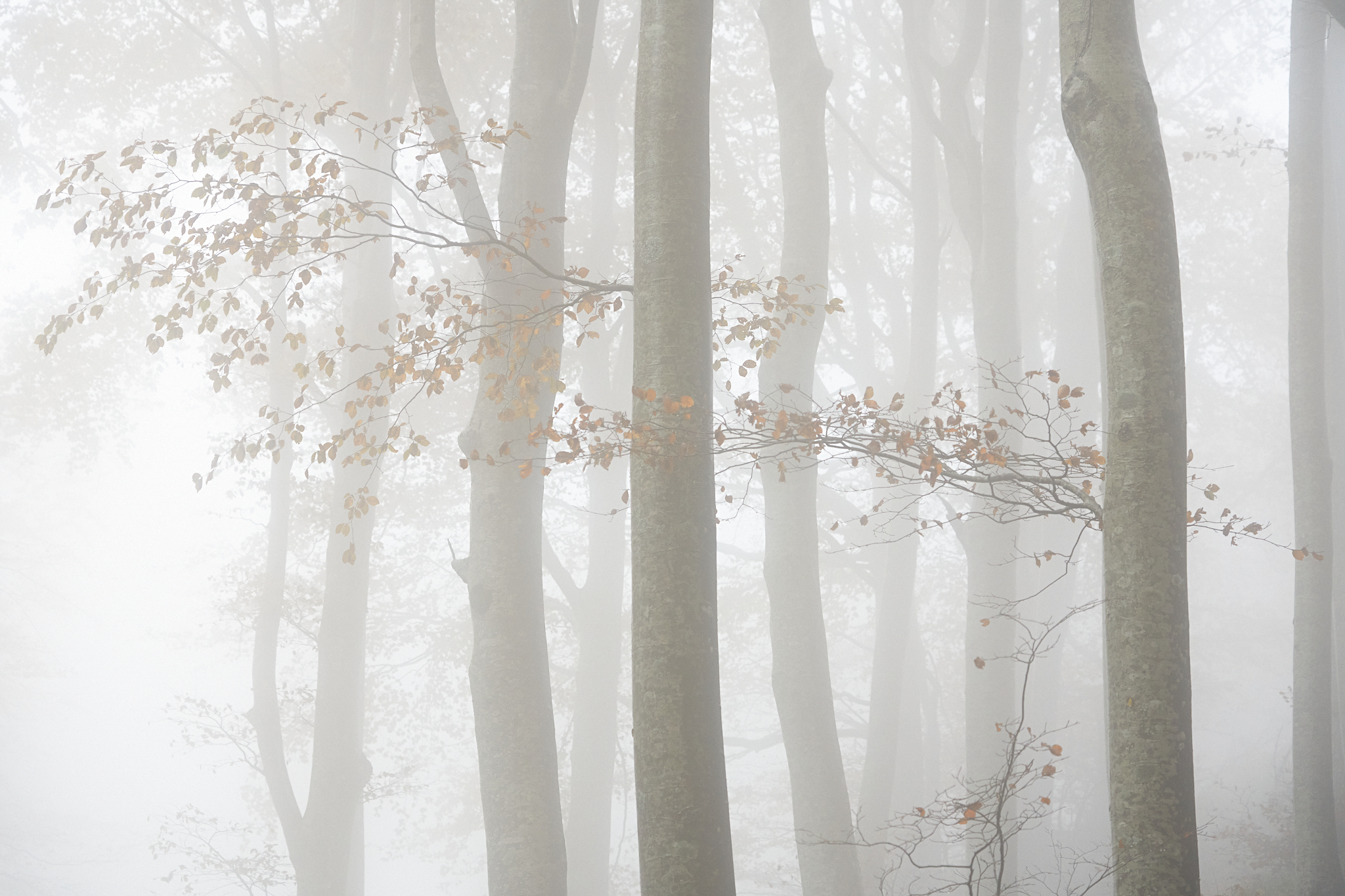 Andrea Celli 7 | On Landscape