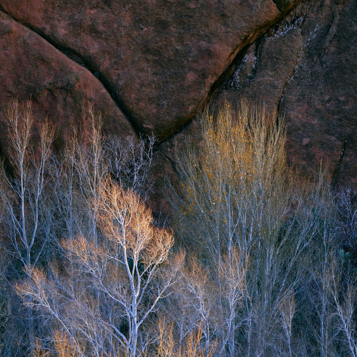 Patrick Luchsinger | On Landscape