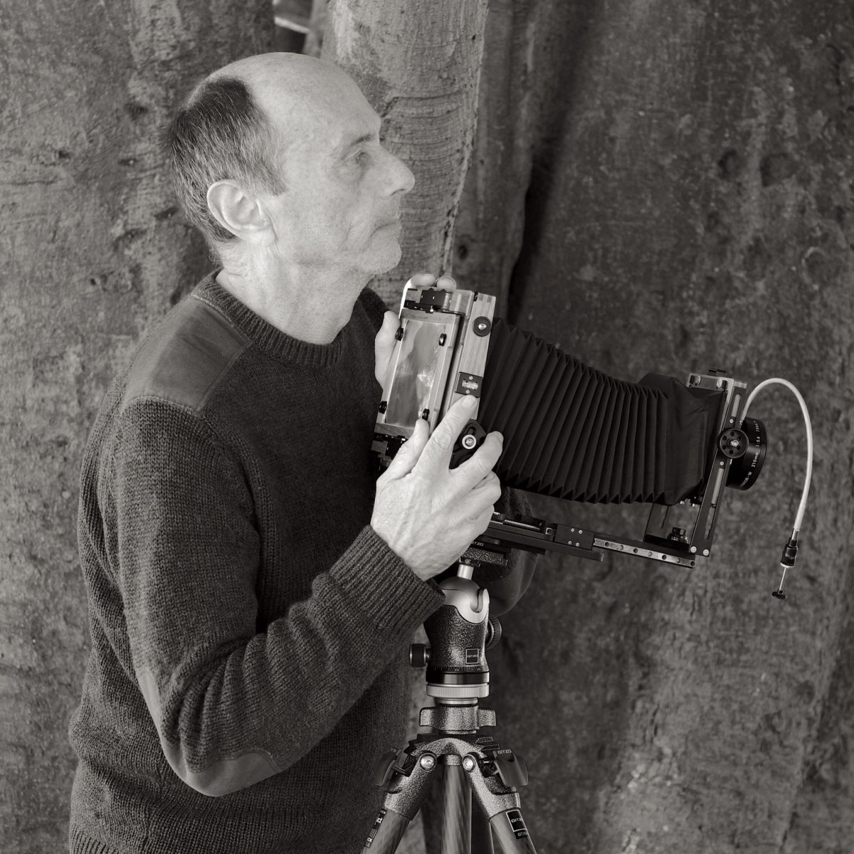 Black Range series | Ian Lobb | On Landscape