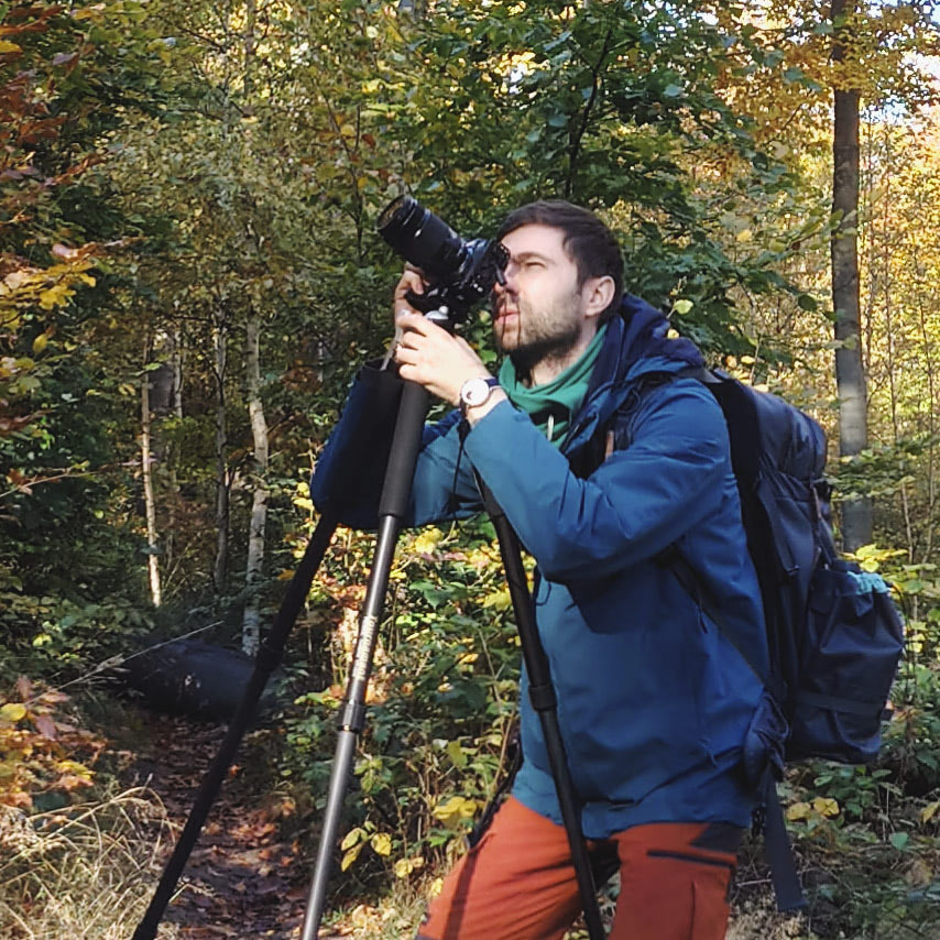 Artem Sapegin | A Morning in a Magical Forest | On Landscape