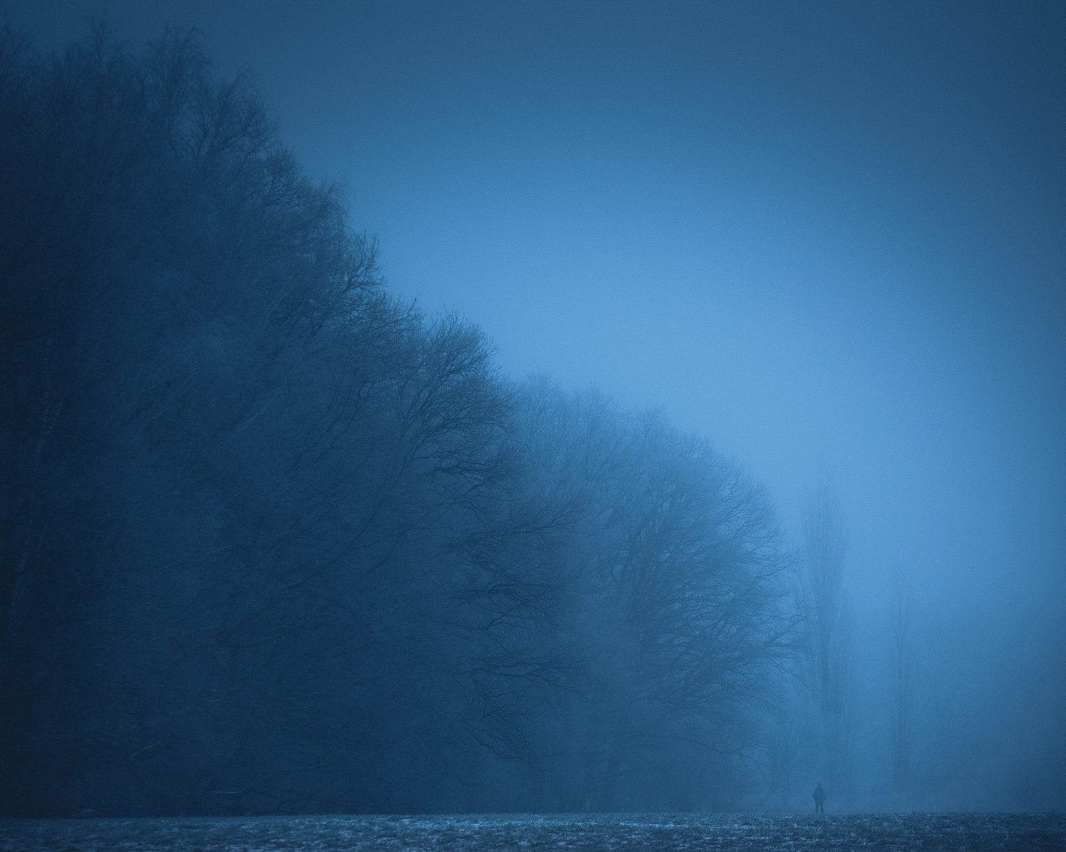 Artem Sapegin | A Morning in a Magical Forest | On Landscape