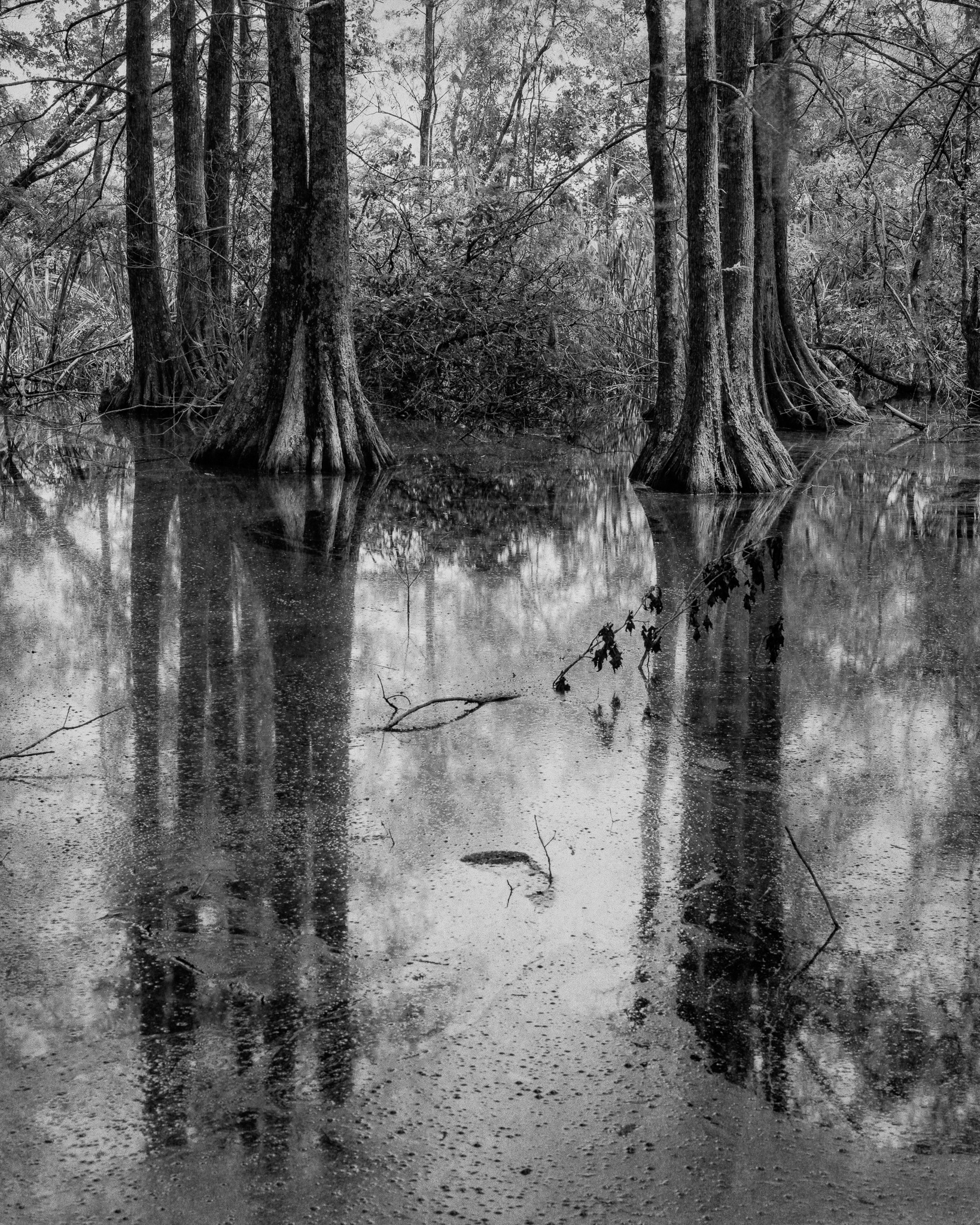 Cody Schultz Regarding Passion 3 | On Landscape