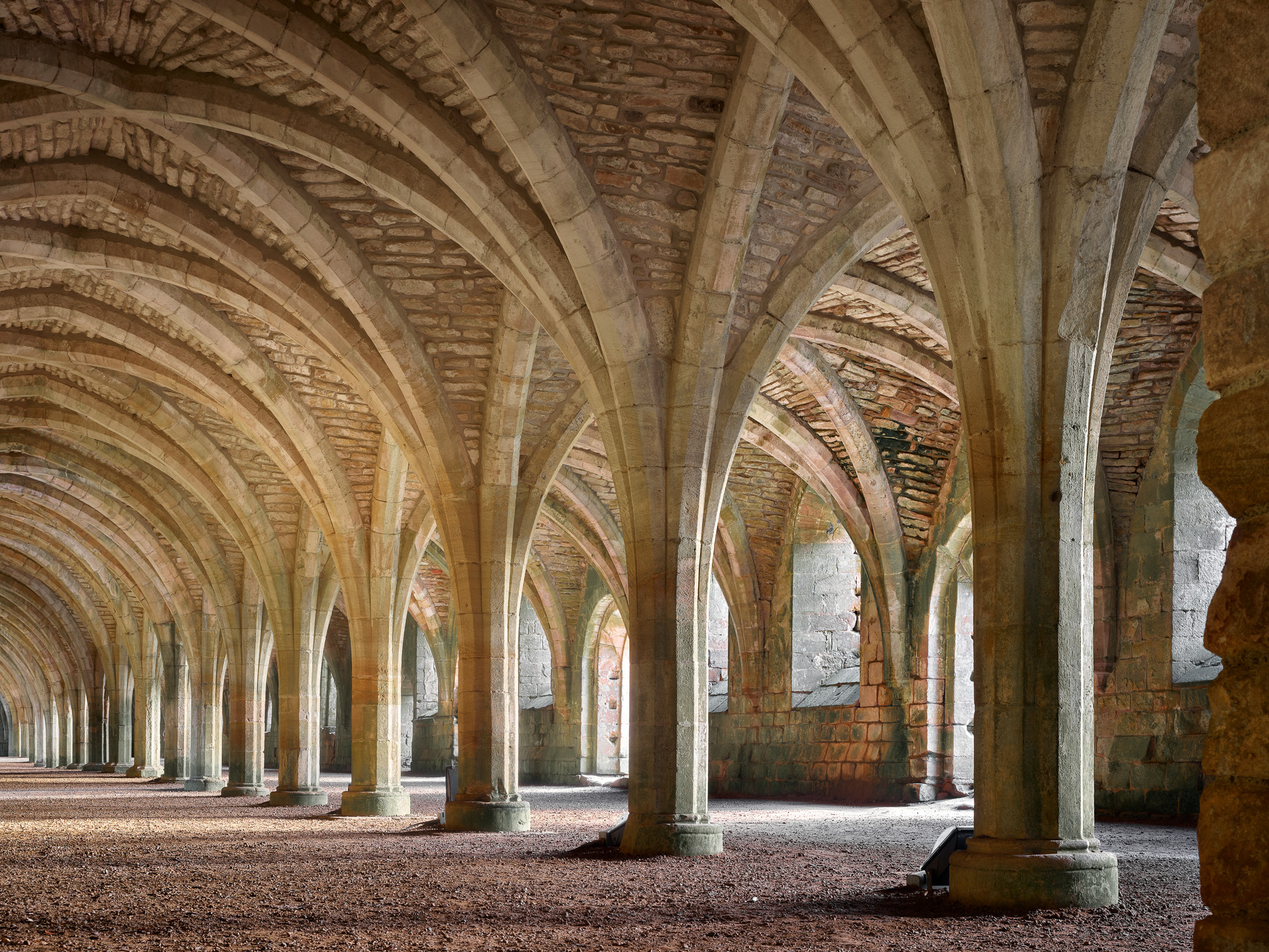 Cellarium | On Landscape
