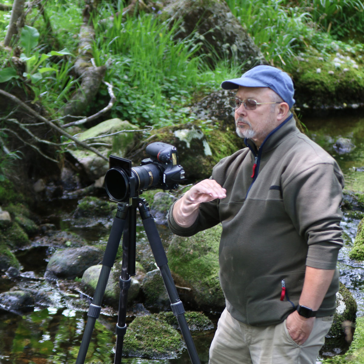 Mark Burley | Celebration of Spring on the River Dart | On Landscape