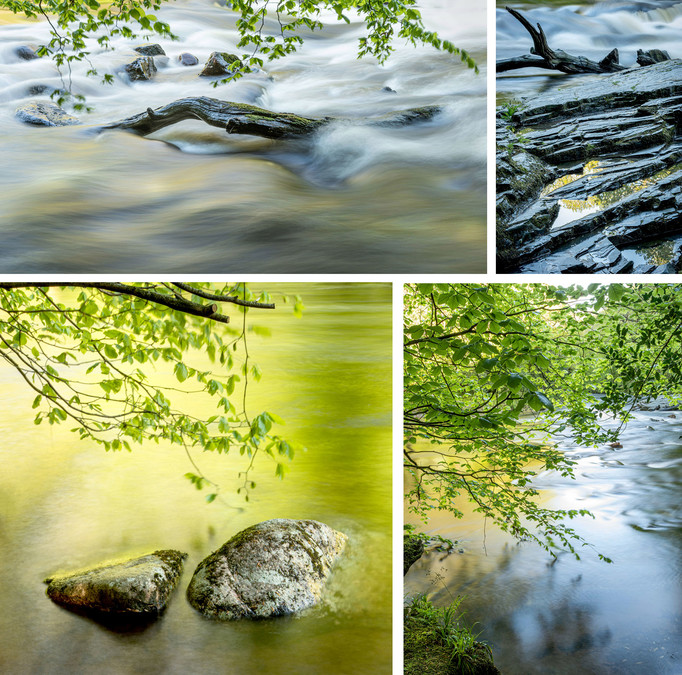 Mark Burley | Celebration of Spring on the River Dart | On Landscape