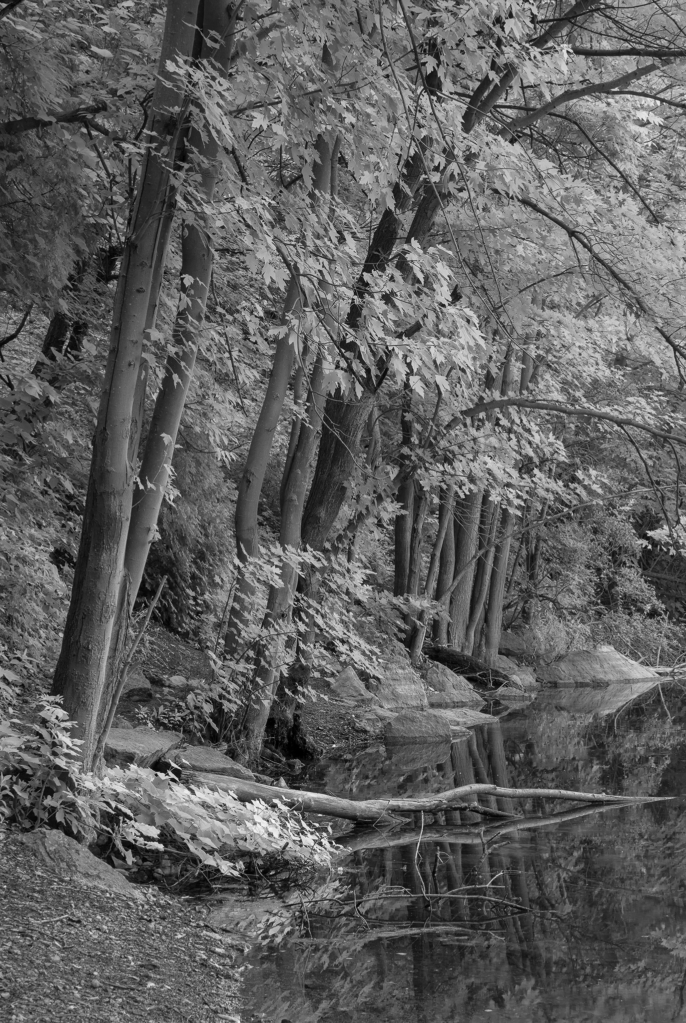 Chris Murray Art Craft 2 | On Landscape