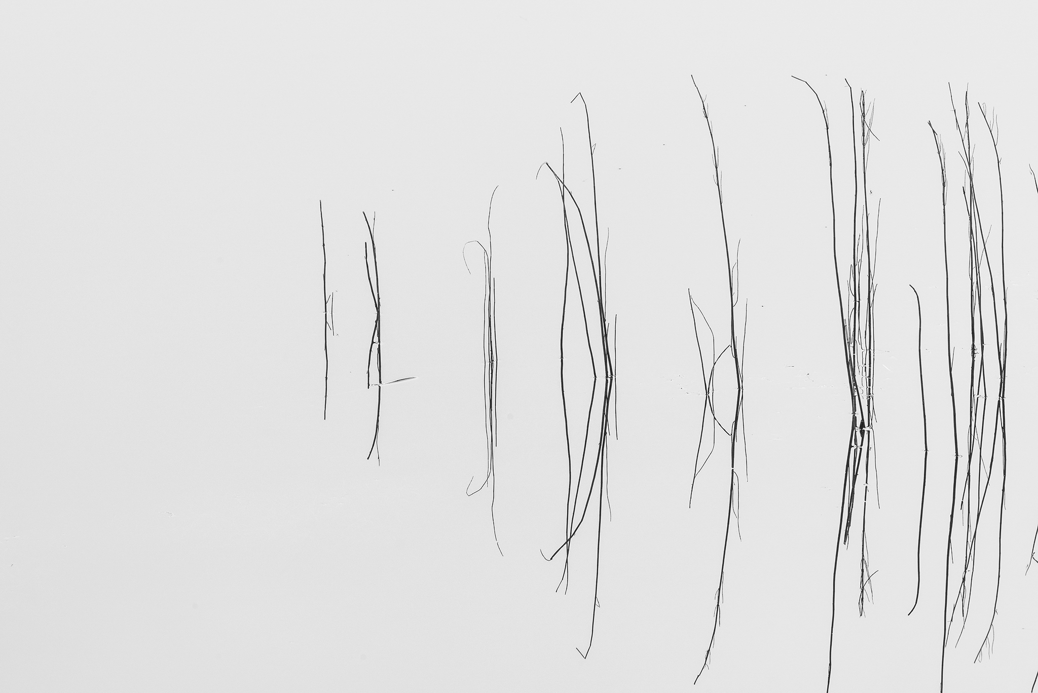 Chris Murray Art Craft 7 | On Landscape