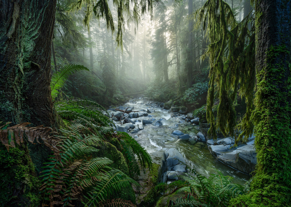 Invigoration | On Landscape