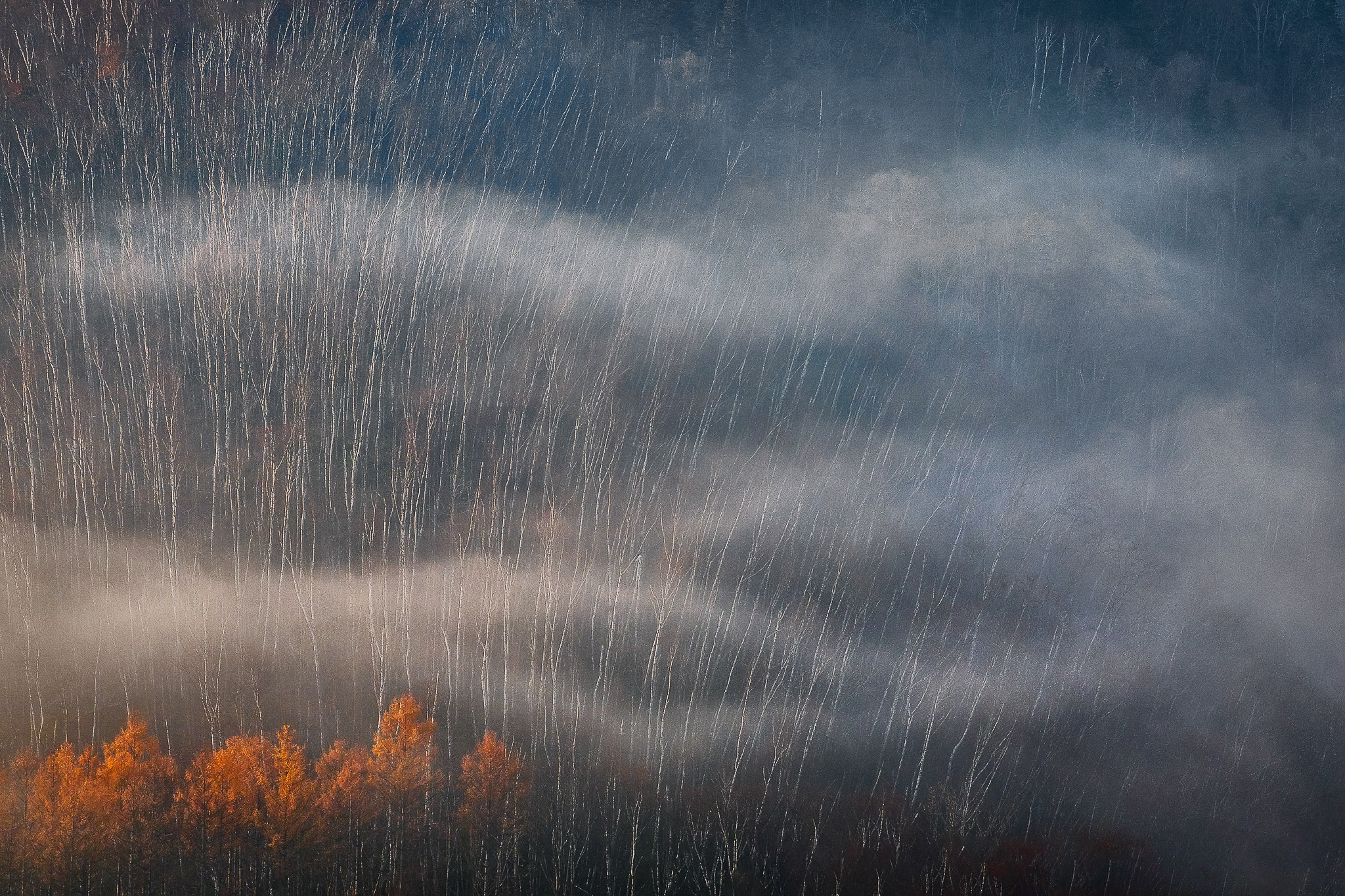 Xuan Huing 8 | On Landscape