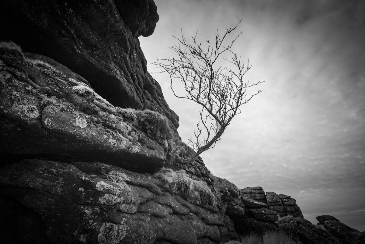 Mark Burley | Infra-red Dartmoor | On Landscape